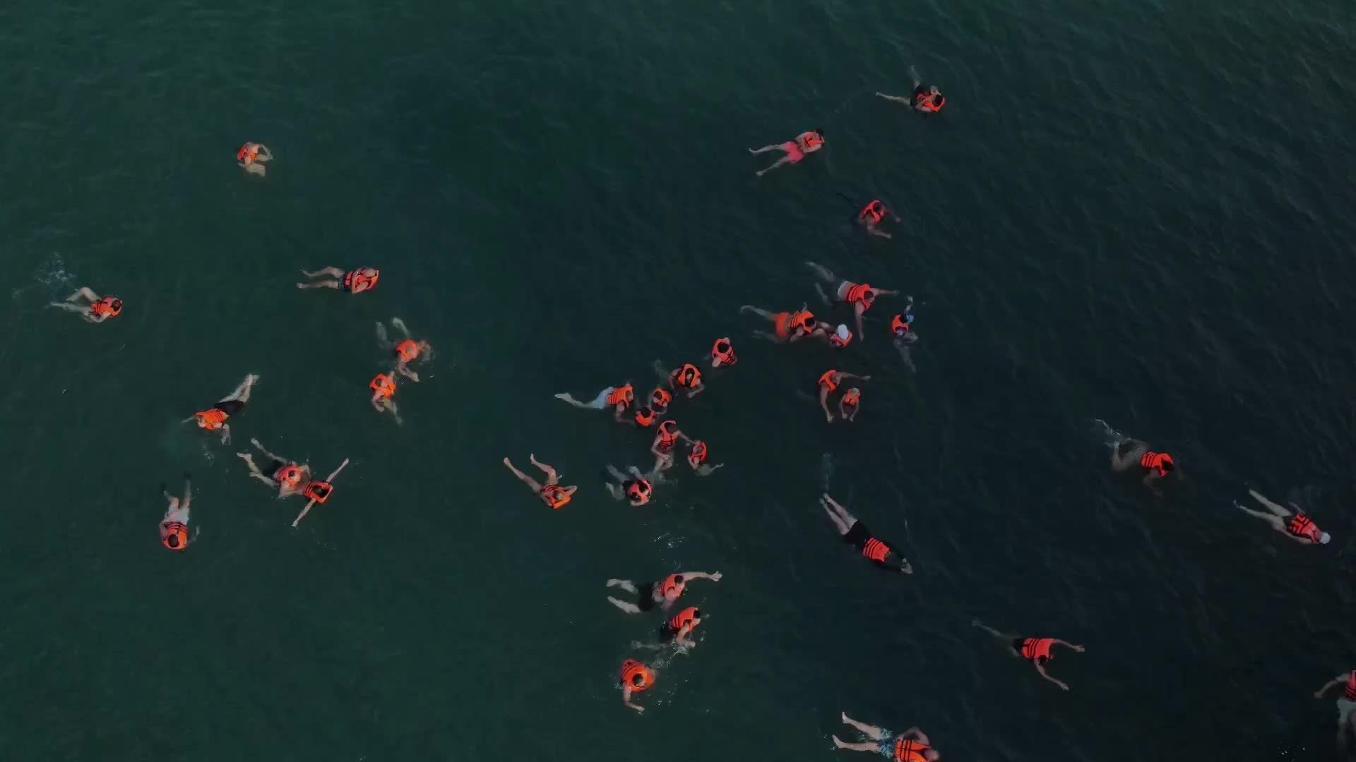 Aerial View of Swimmers in Orange Life Jackets Free Stock Video Footage ...