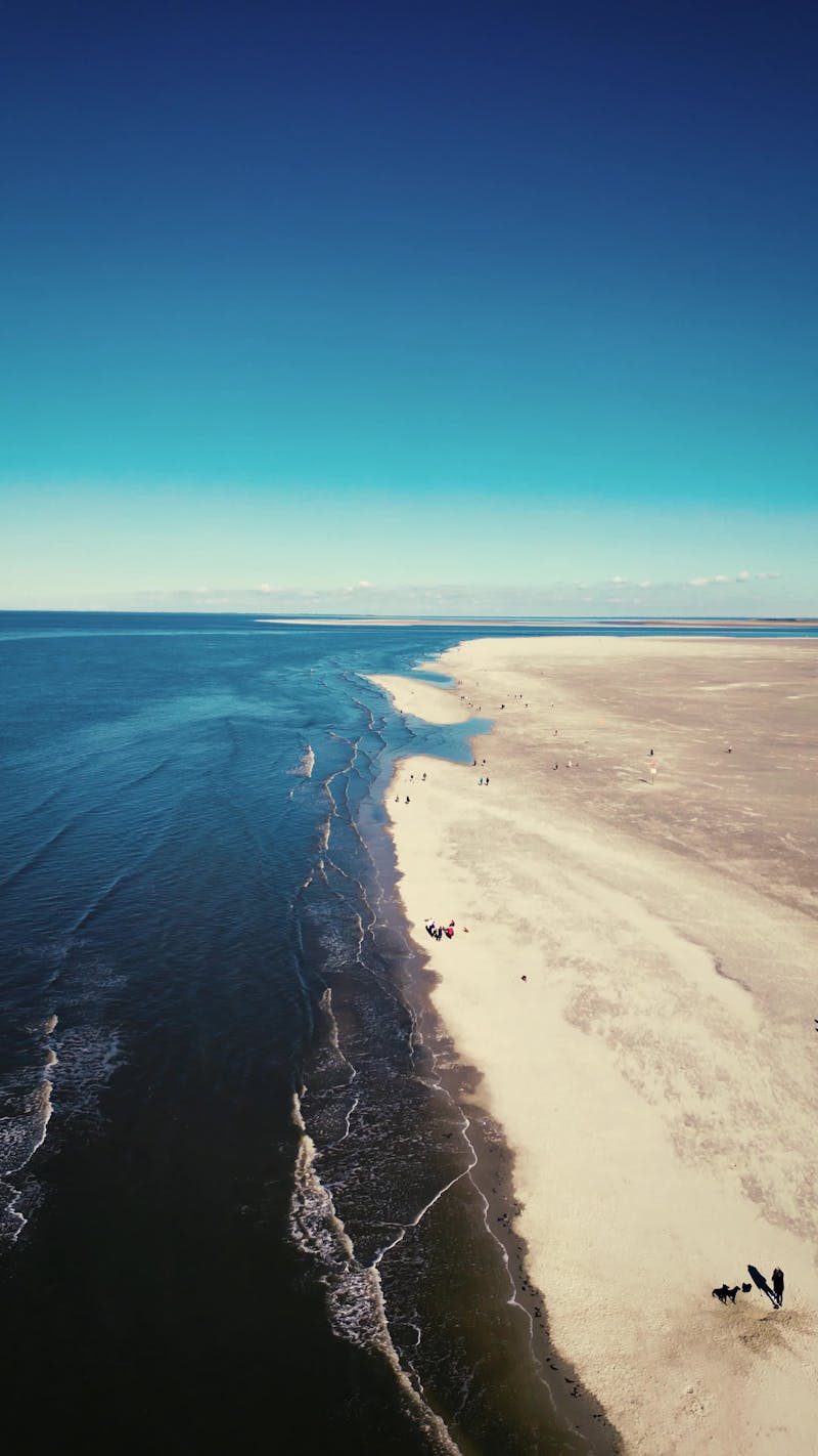 Beach Videos Videos, Download The BEST Free 4k Stock Video Footage ...