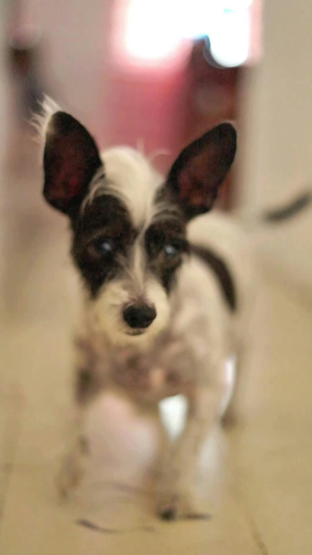 Funny Question Videos, Download The BEST Free 4k Stock Video Footage ...