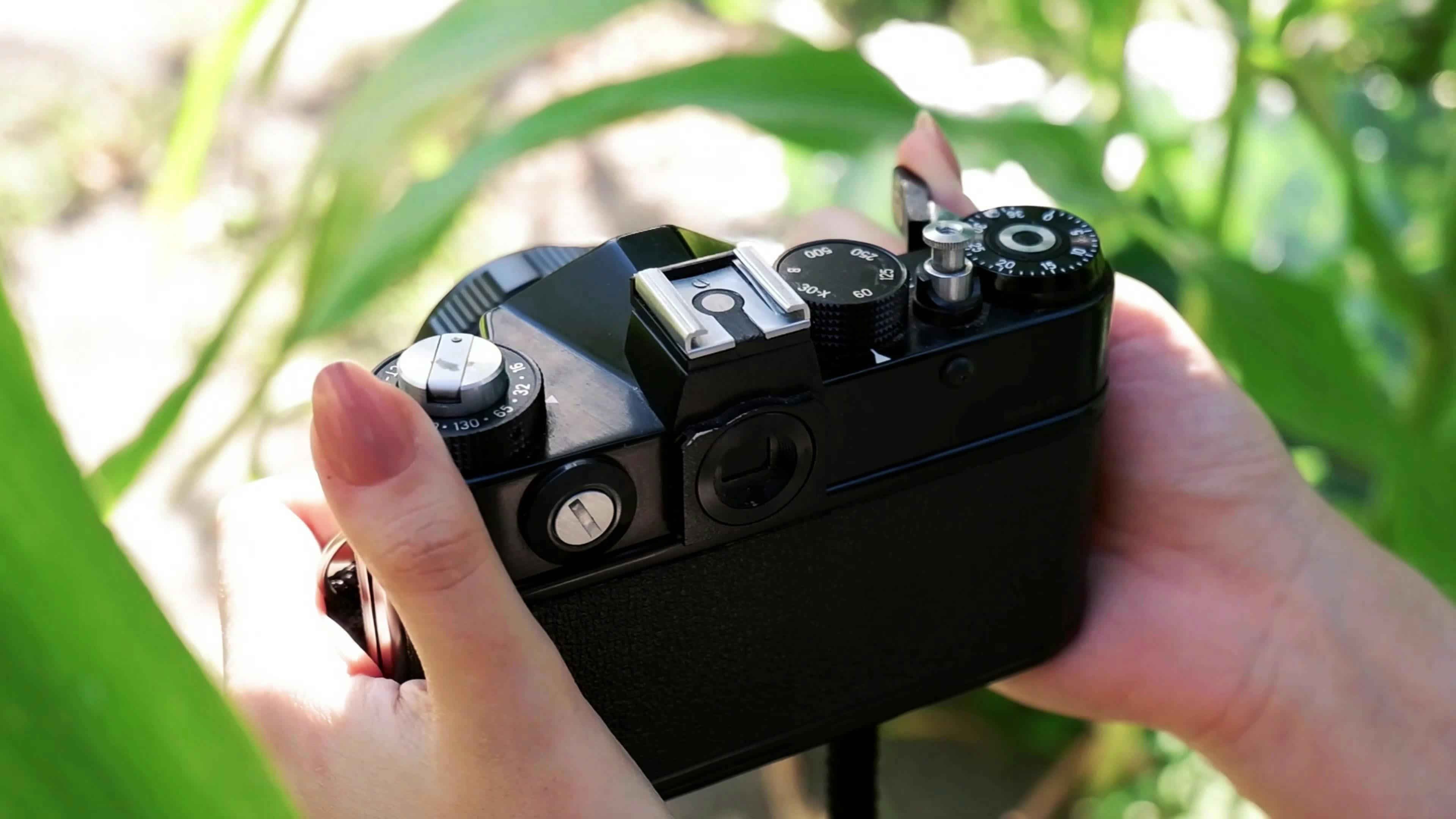 Close-up of Hands Holding Vintage Camera Outdoors Free Stock Video ...