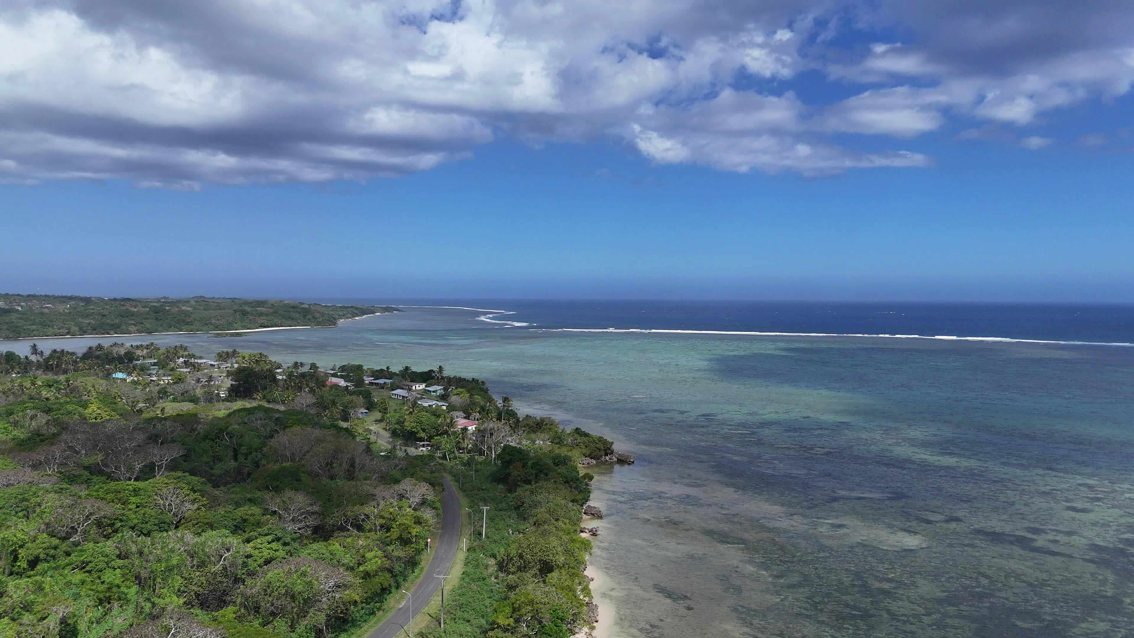 Natural Biodiversity Videos, Download The BEST Free 4k Stock Video ...