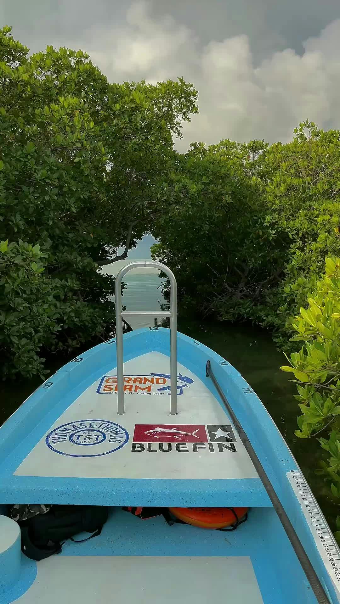 Aerial View of Pristine Caribbean Sandbar Free Stock Video Footage ...