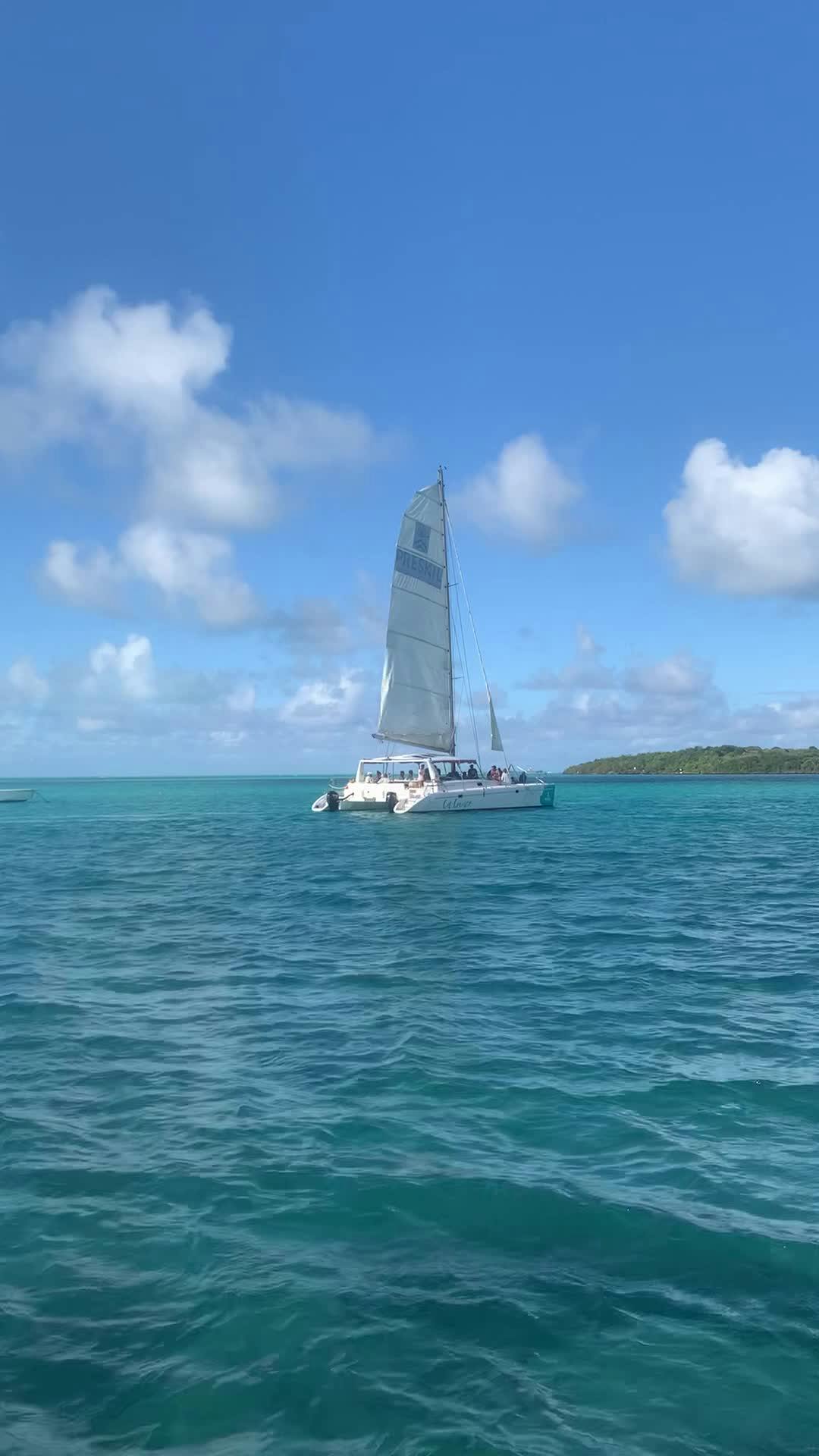 Navegación En Catamarán Por Las Cristalinas Aguas Del Océano · Vídeo de ...