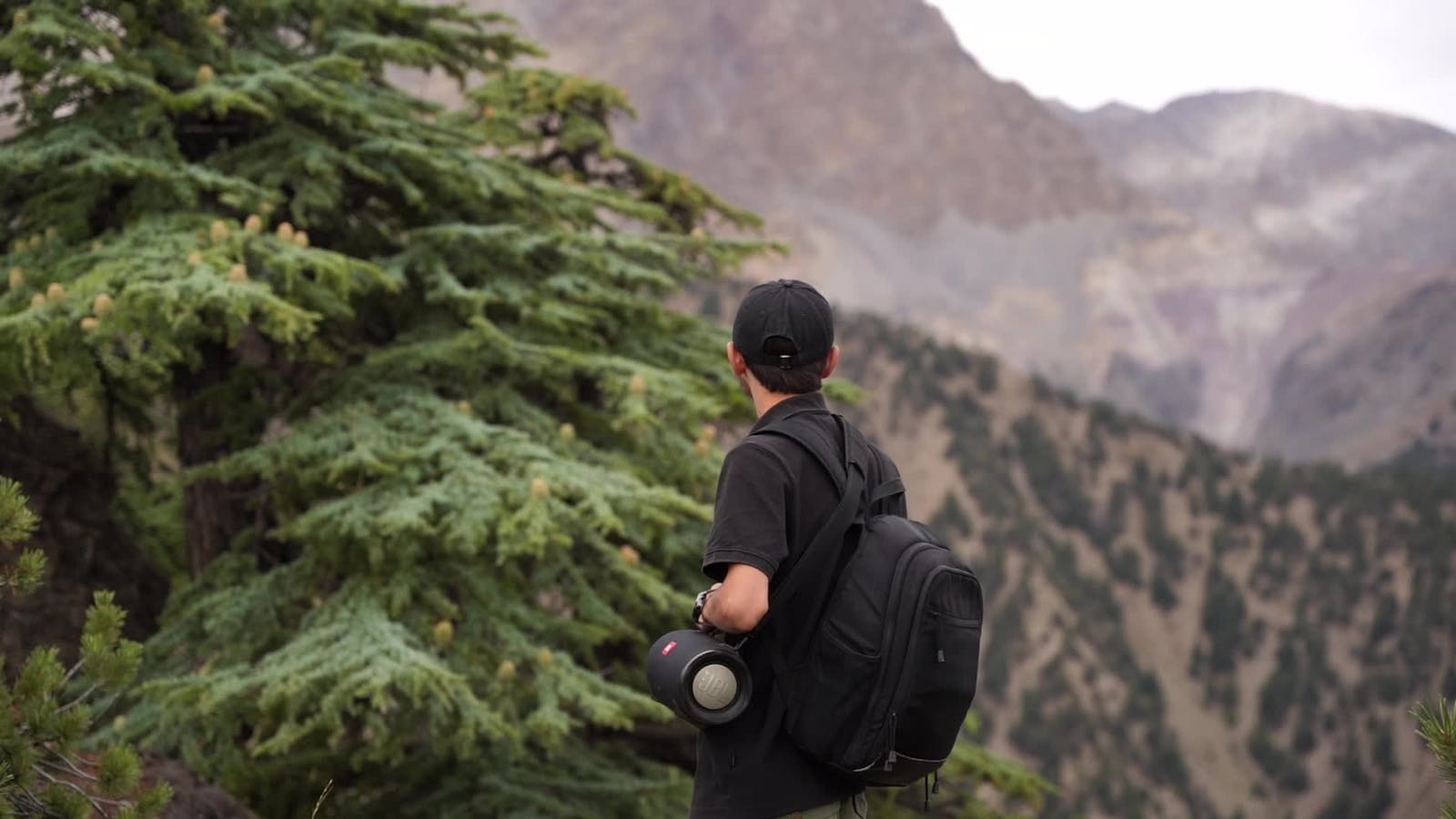 Girls+Aloud+Wallpaper Videos, Download The BEST Free 4k Stock Video ...