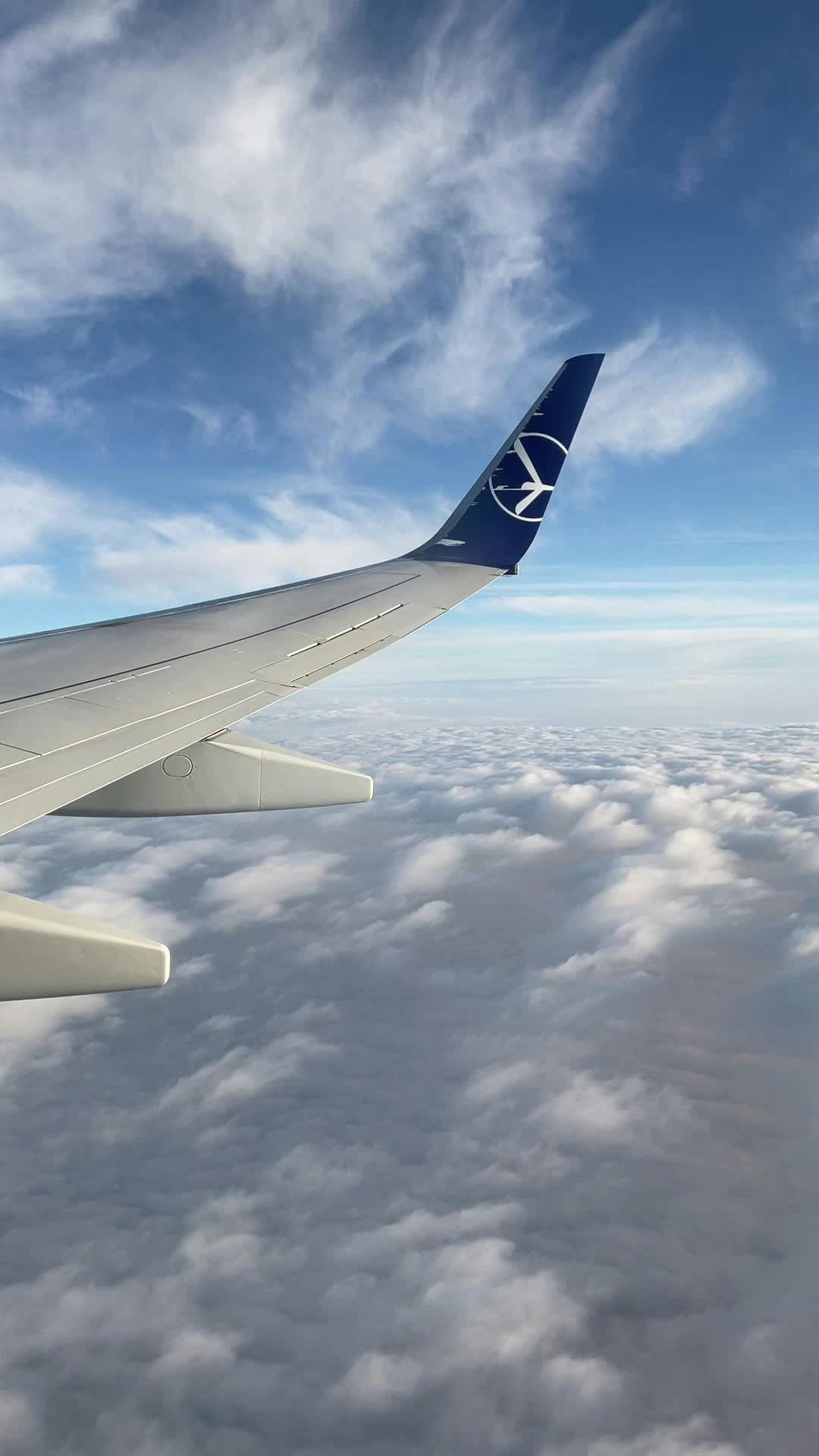 Airplane Flying High Up in the Air Free Stock Video Footage, Royalty ...