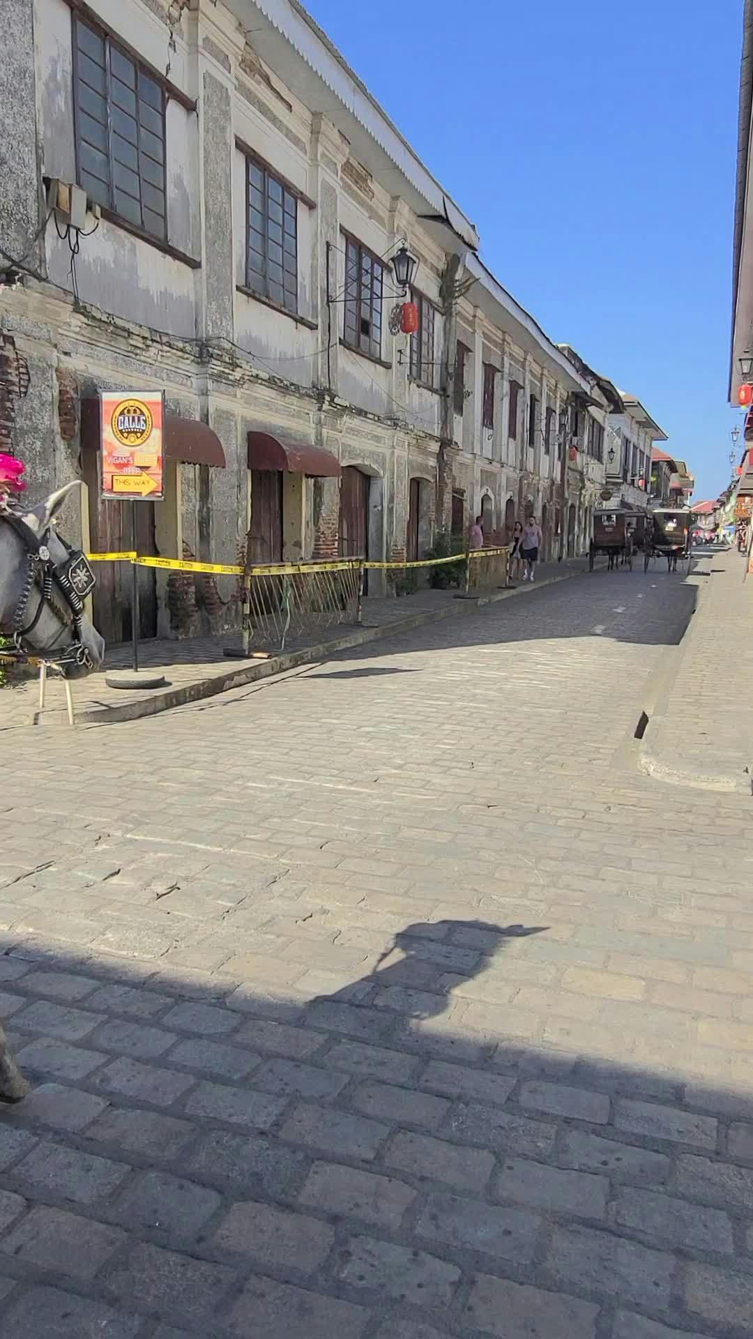 Horse And Carriage Videos, Download The BEST Free 4k Stock Video ...