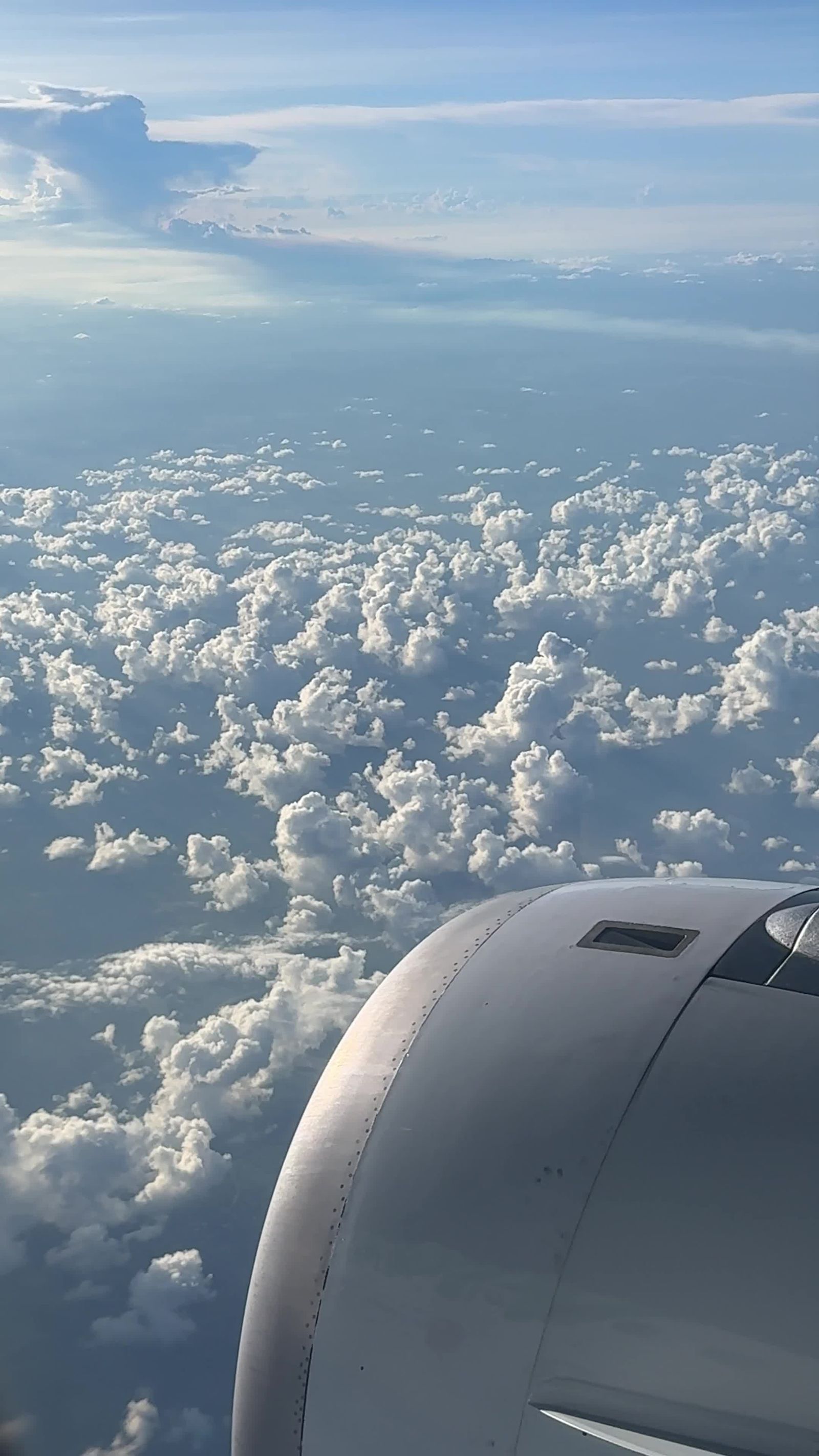 Airplane Landing Videos, Download The BEST Free 4k Stock Video Footage ...