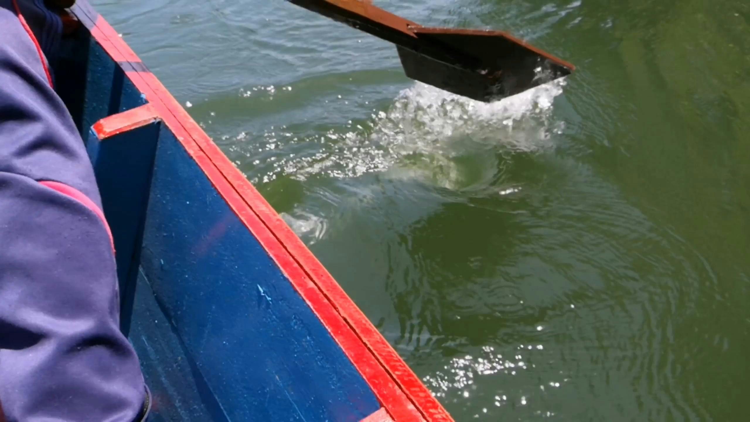 Boat Paddling Videos, Download The BEST Free 4k Stock Video Footage ...