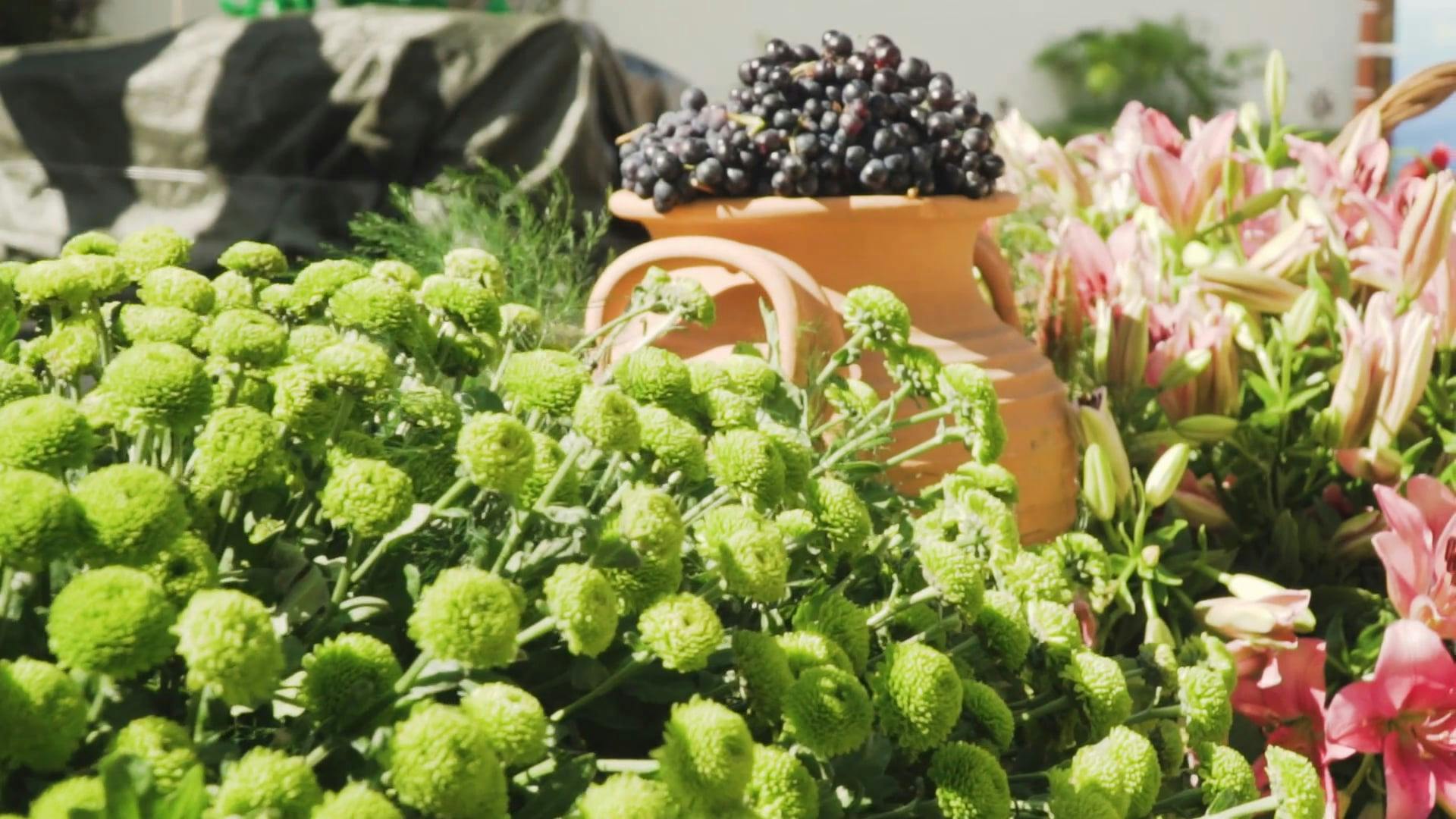 Variety Of Agricultural Produce In Display Free Stock Video Footage ...