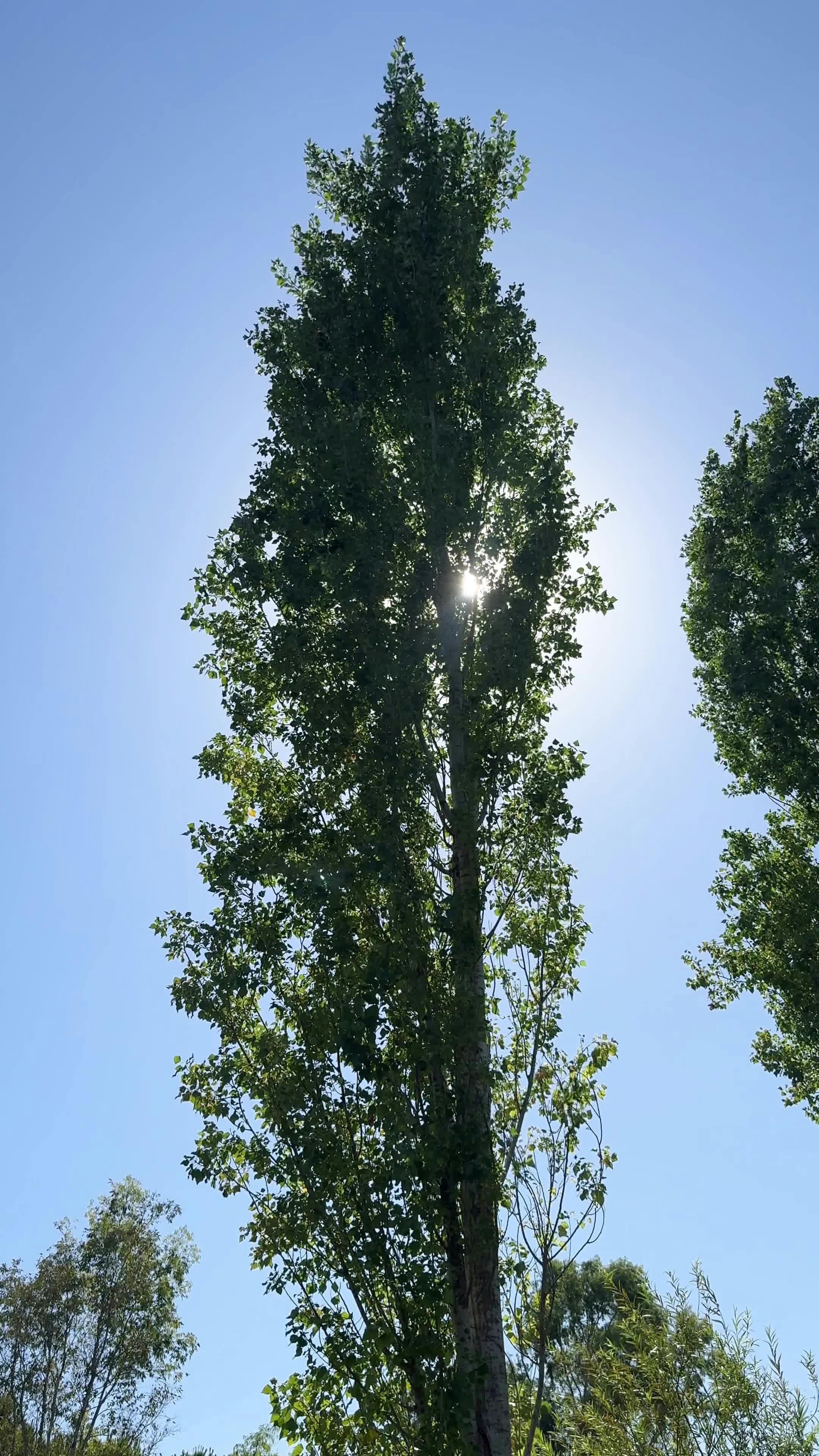 Empty Backgrounds Videos, Download The BEST Free 4k Stock Video Footage ...