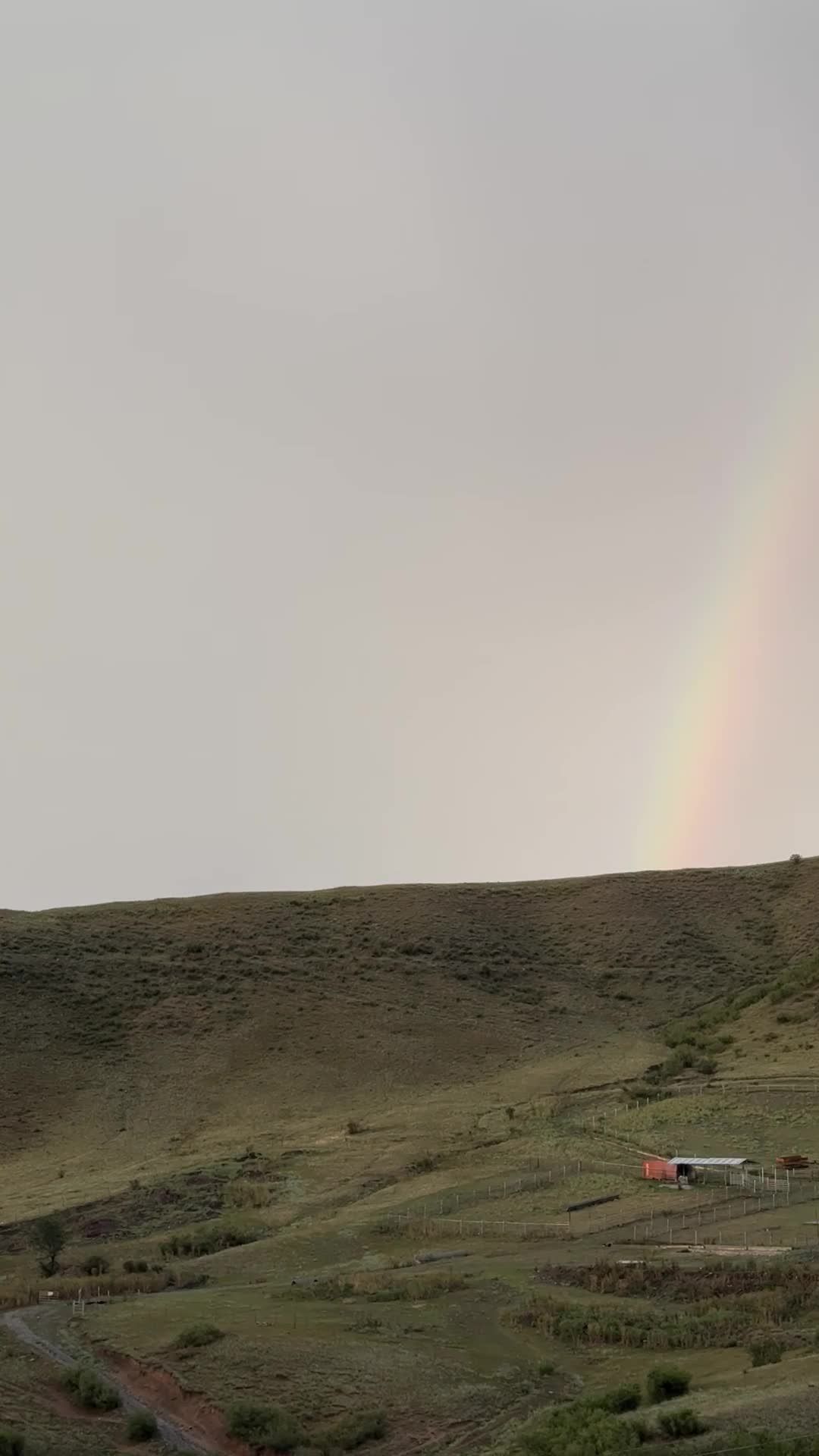 Rainbows Videos, Download The BEST Free 4k Stock Video Footage ...