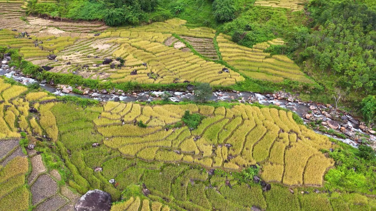 Ven Videos, Download The BEST Free 4k Stock Video Footage & Ven HD ...