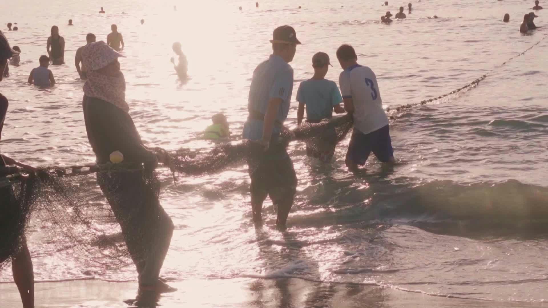Local fishermen collecting fish in a river Free Stock Video Footage ...