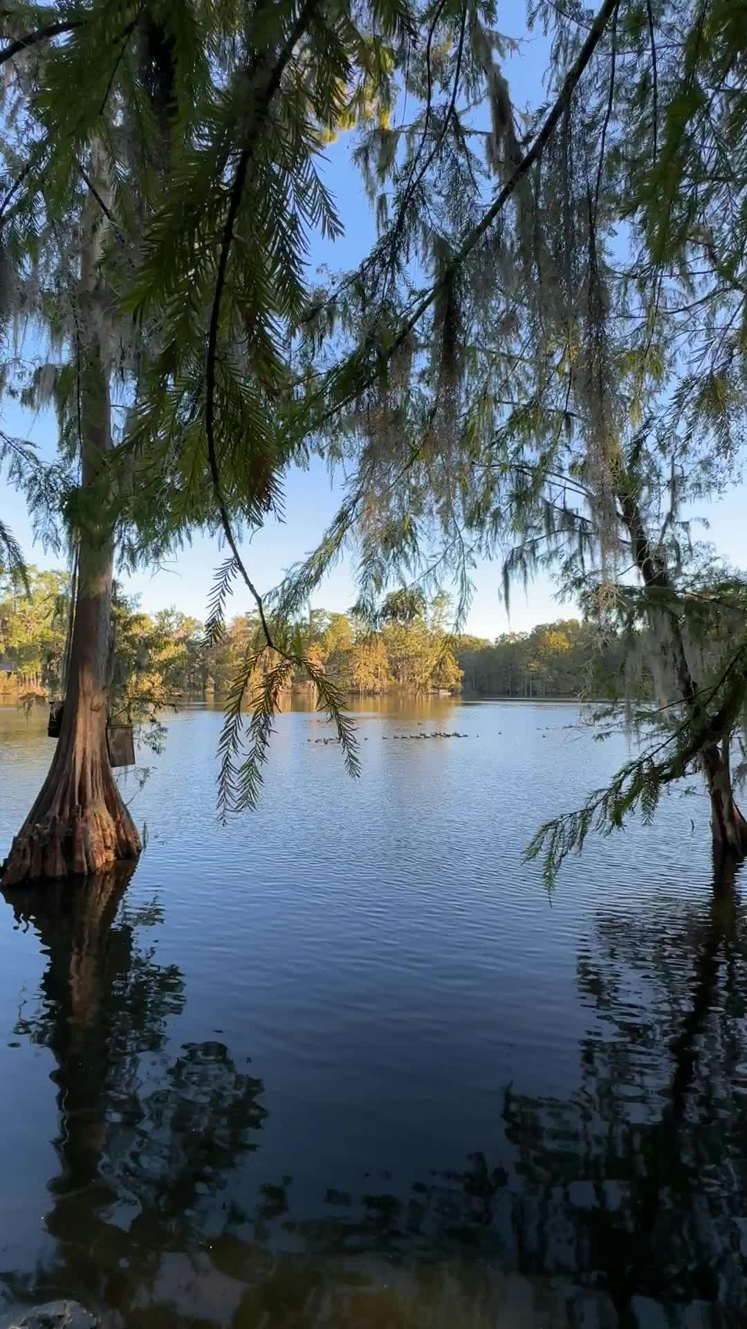 Simple Dreng Videos, Download The BEST Free 4k Stock Video Footage ...