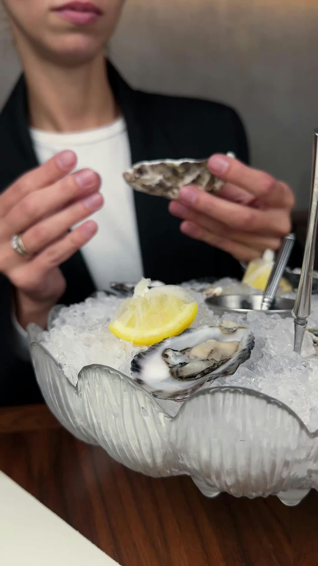 Shellfish Videos, Download The BEST Free 4k Stock Video Footage ...