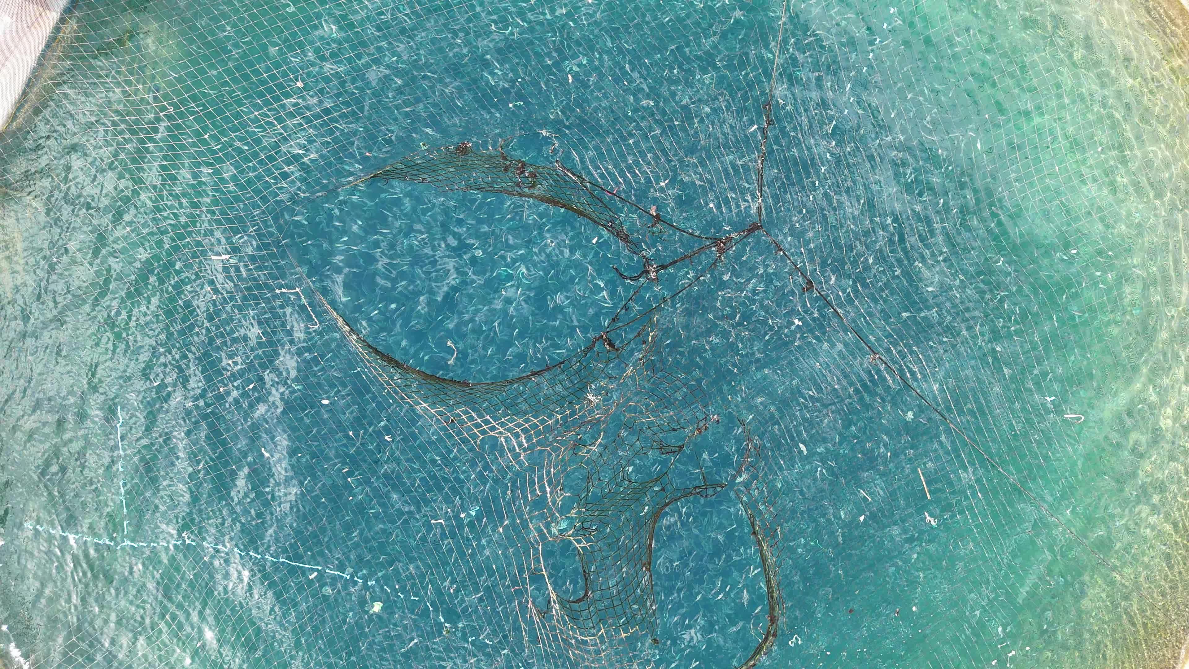 Net 생도 Videos, Download The BEST Free 4k Stock Video Footage & Net 생도 ...