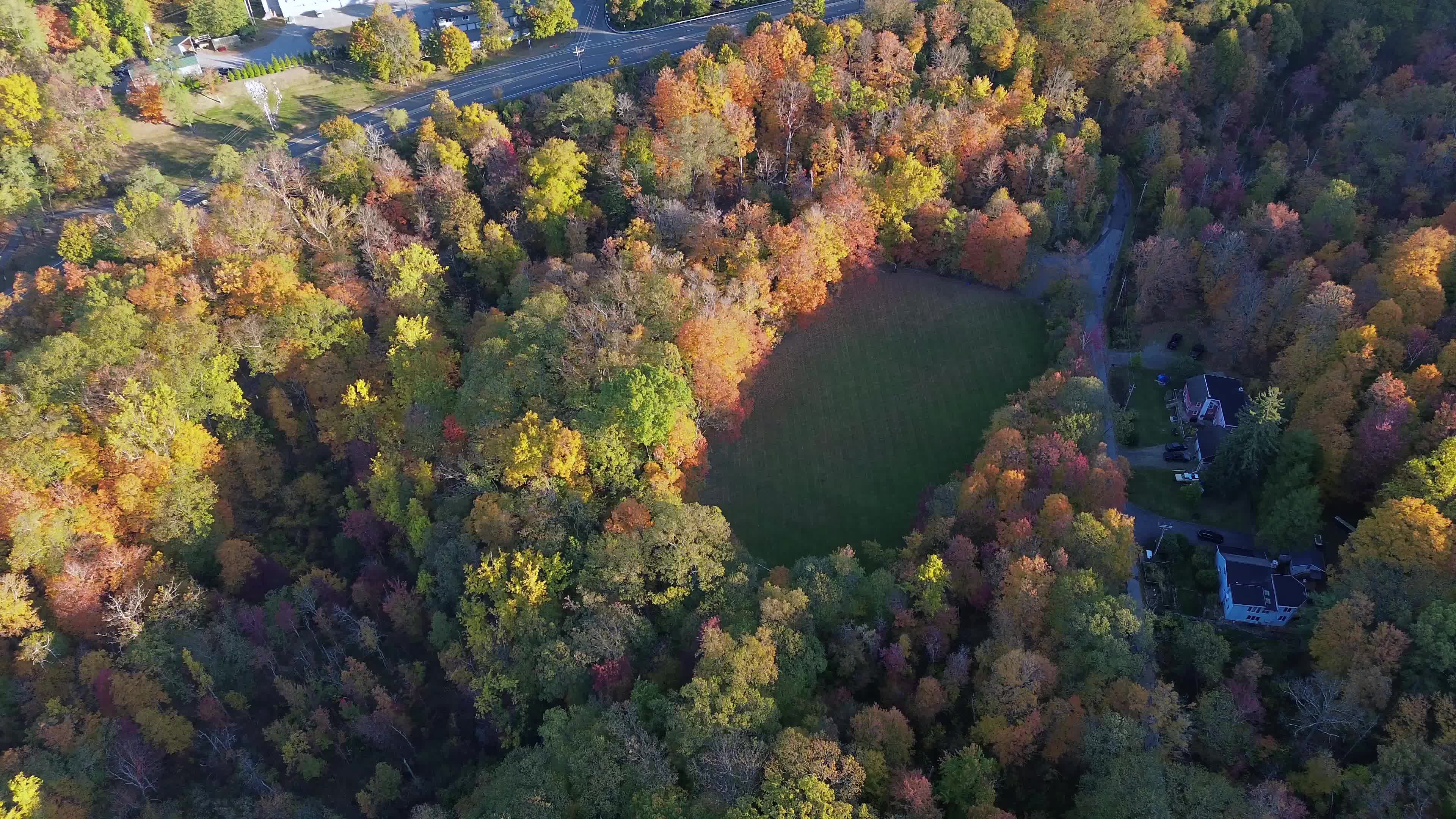 Imágenes Tomadas Con Un Dron En El Bosque Black Rock De Nueva York En ...