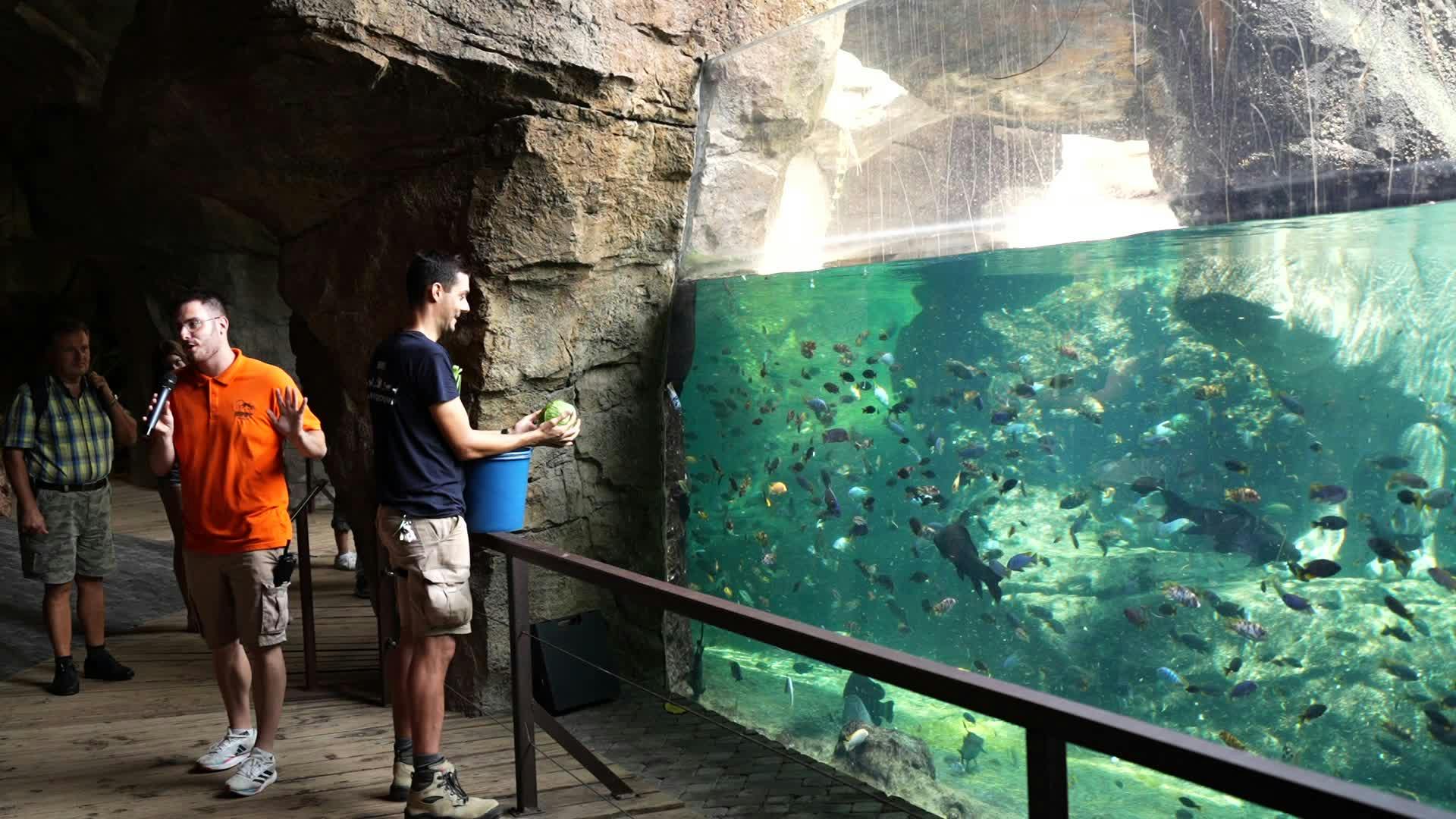 Families Having Fun At Zoo Videos, Download The BEST Free 4k Stock ...