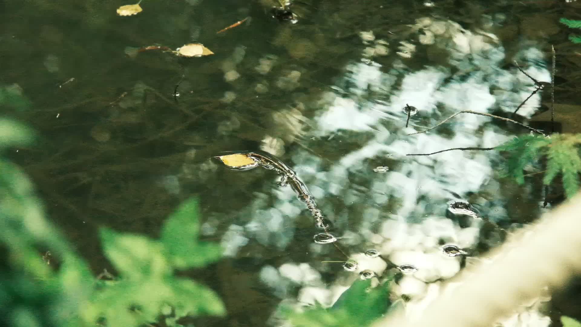 Outdoor Water Body Videos, Download The BEST Free 4k Stock Video ...