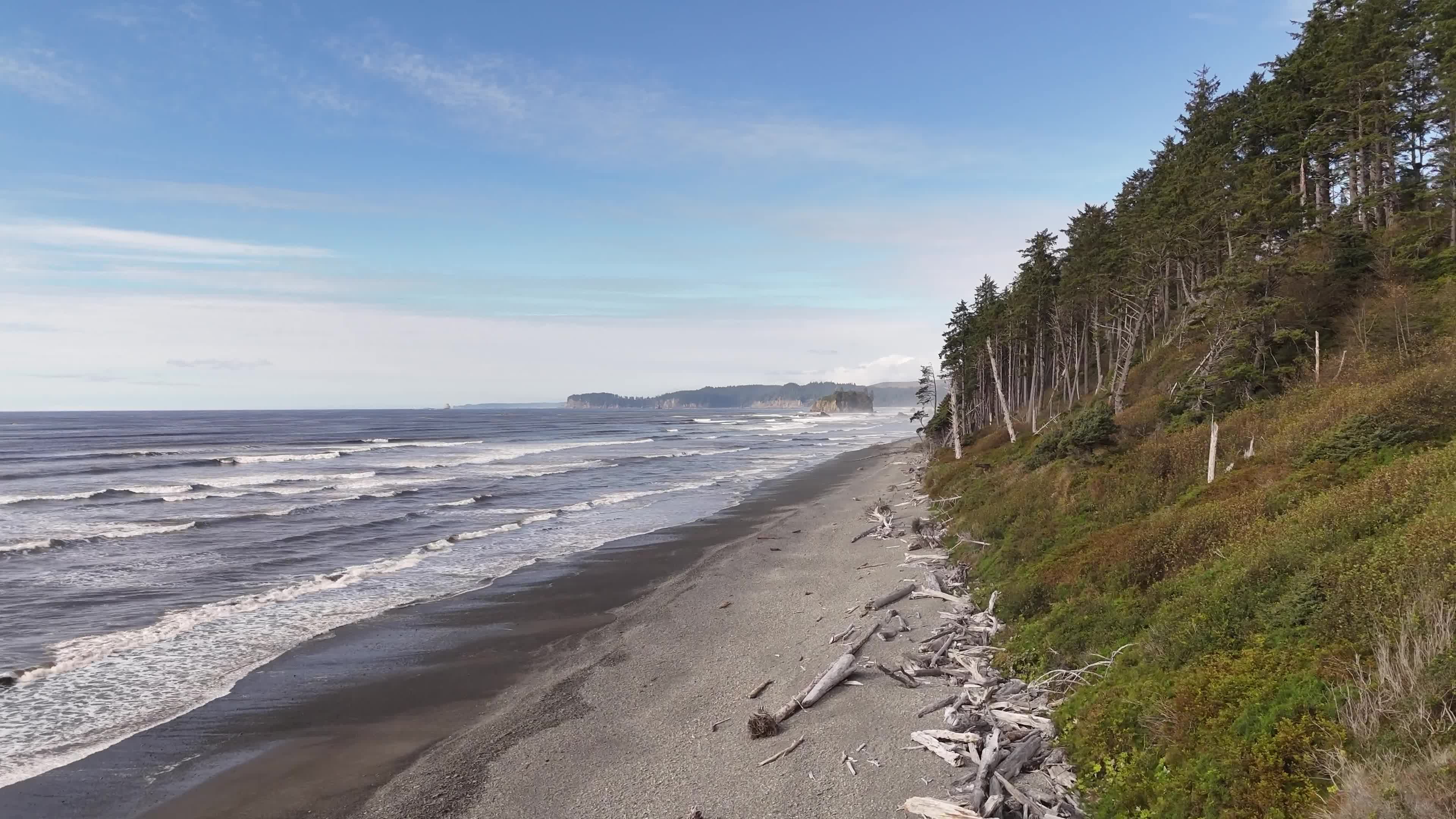 Scenic Pacific Northwest Coastal Beach View Free Stock Video Footage ...