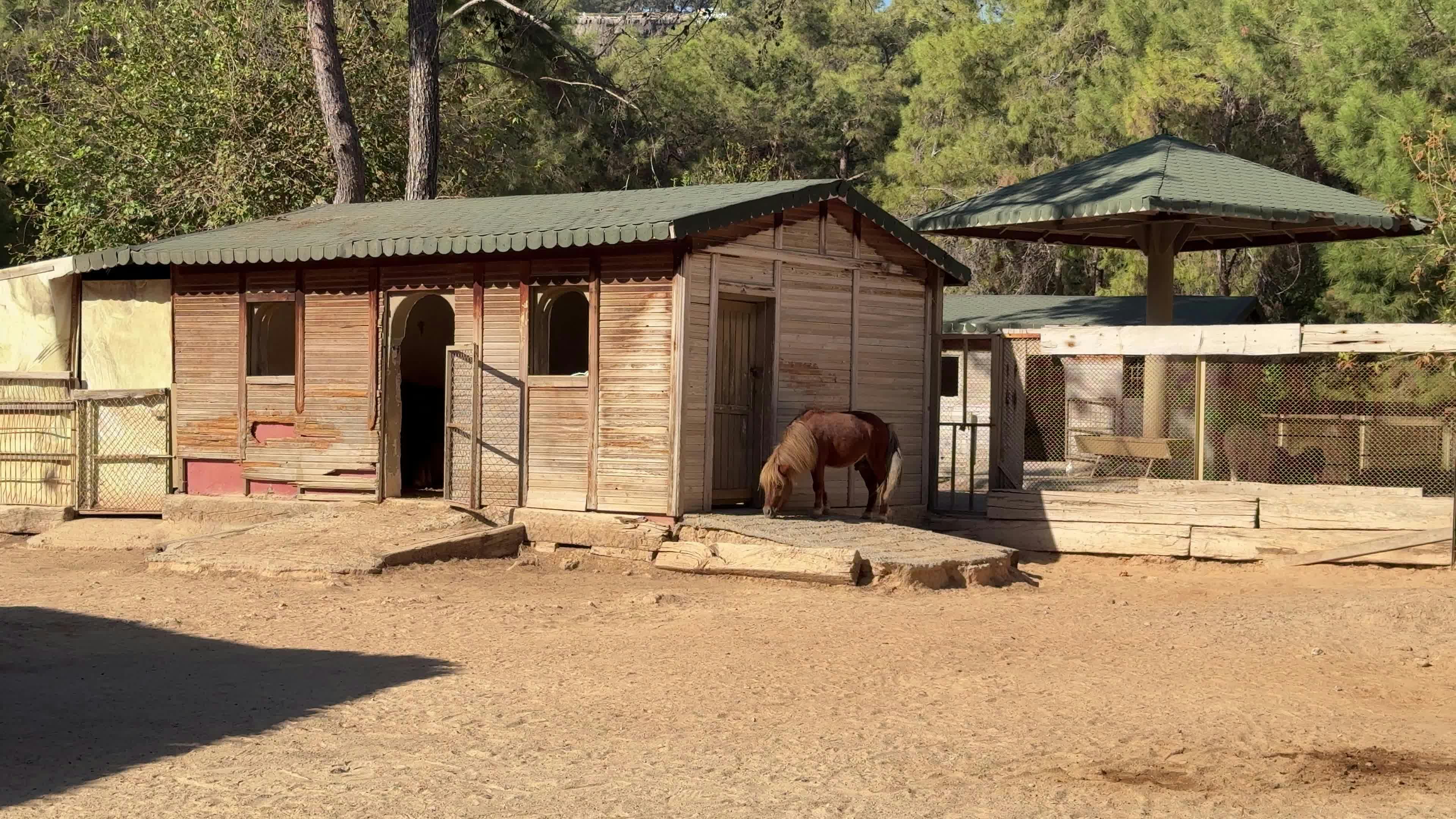 Rustic Farm Scene with Peaceful Horse Grazing Free Stock Video Footage ...