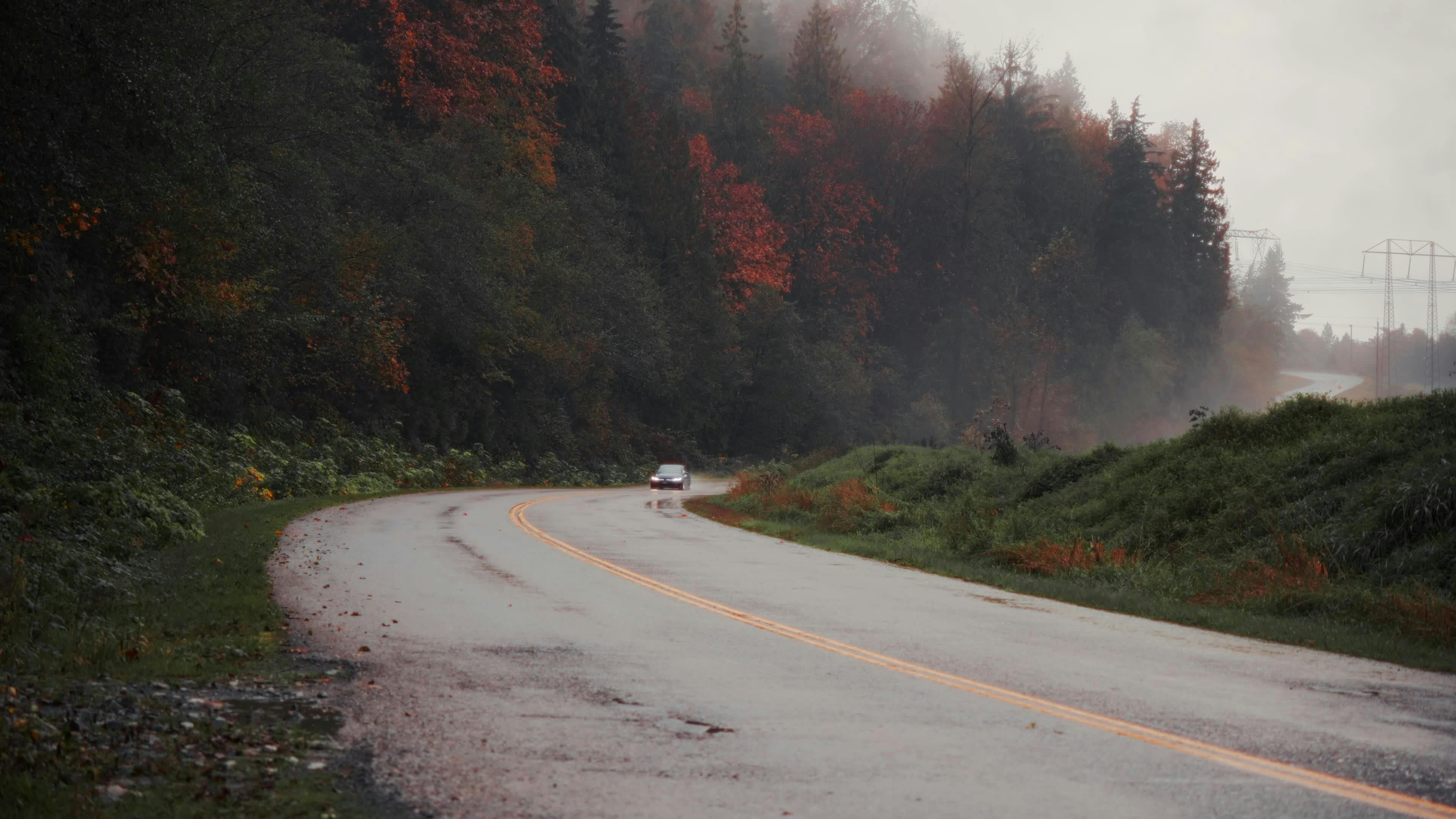 Car Driving on Rainy Forest Road in Fall Free Stock Video Footage ...