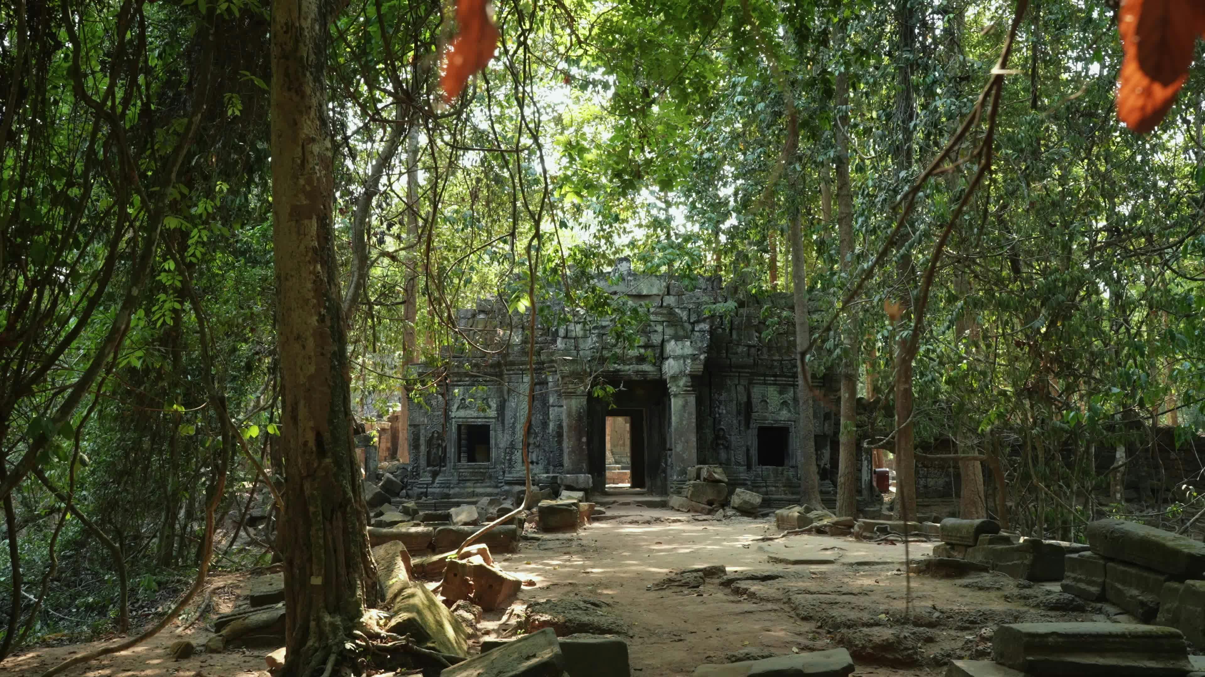 Rajgira Khmer With Jaggery Videos, Download The BEST Free 4k Stock Video Footage & Rajgira Khmer ...