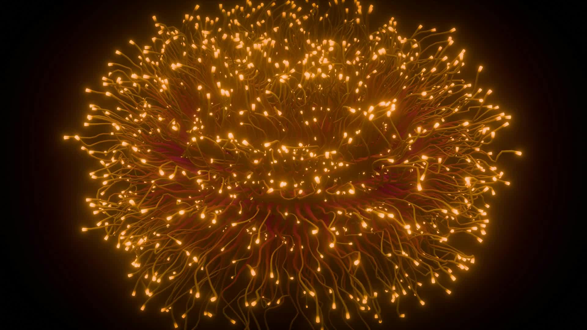 Abstract Glowing Fiber Optical Network Lights Free Stock Video Footage ...