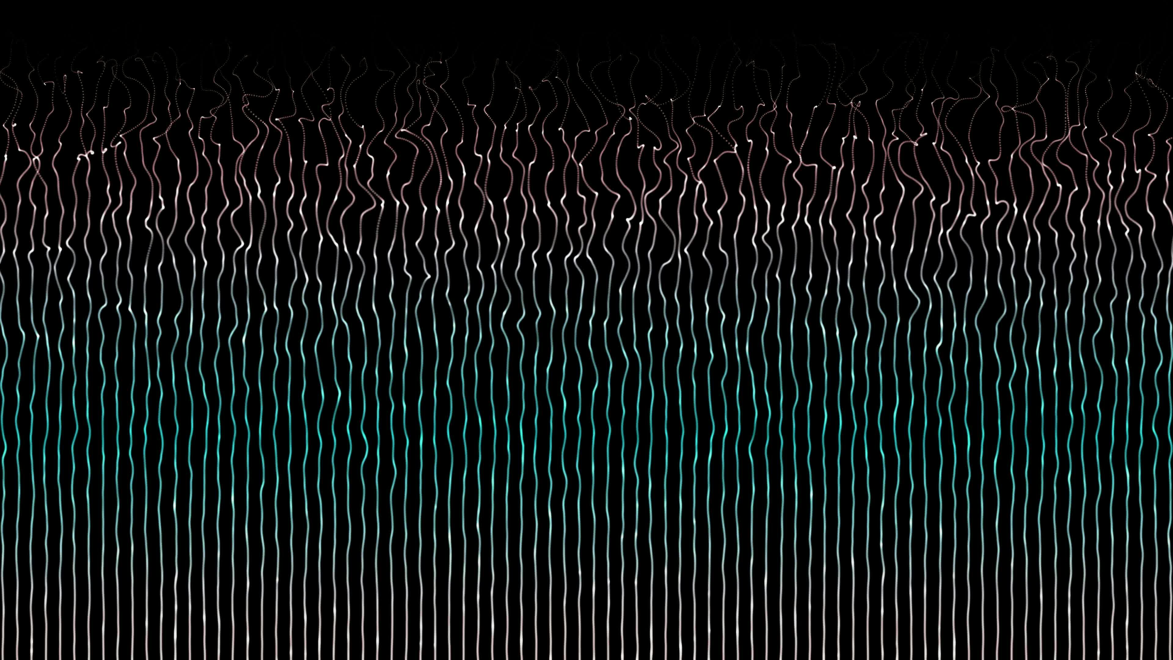 Animated Abstract white color horizontal wavy lines moving on black ...