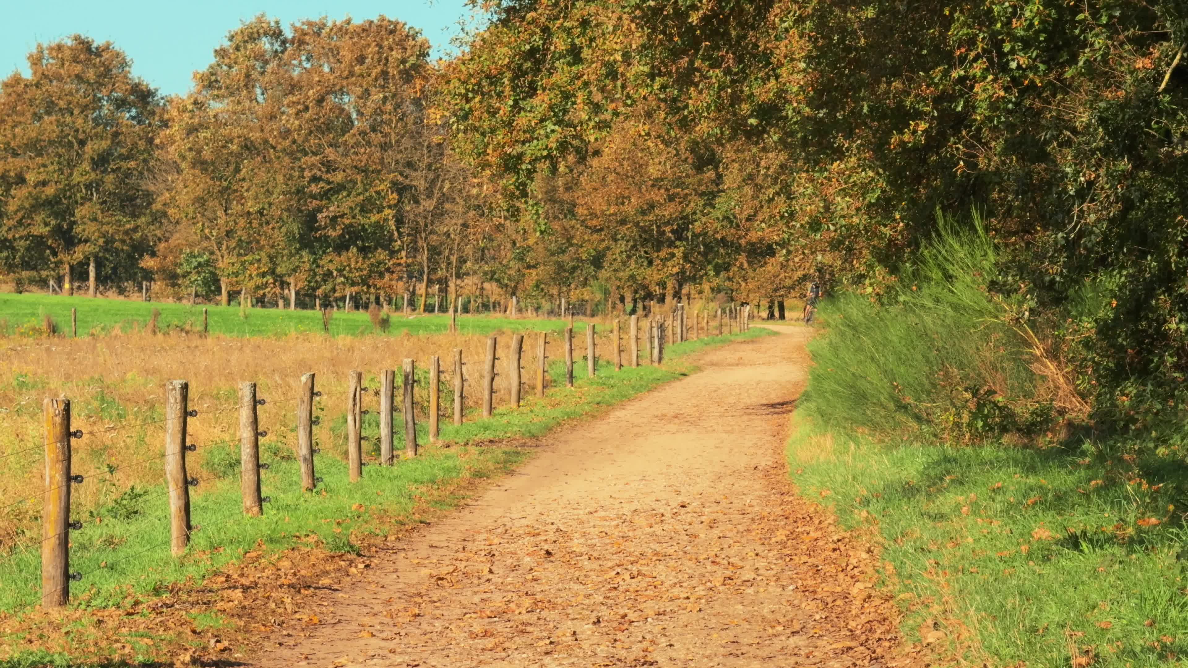 Peaceful Country Path in Autumn Scenery Free Stock Video Footage ...