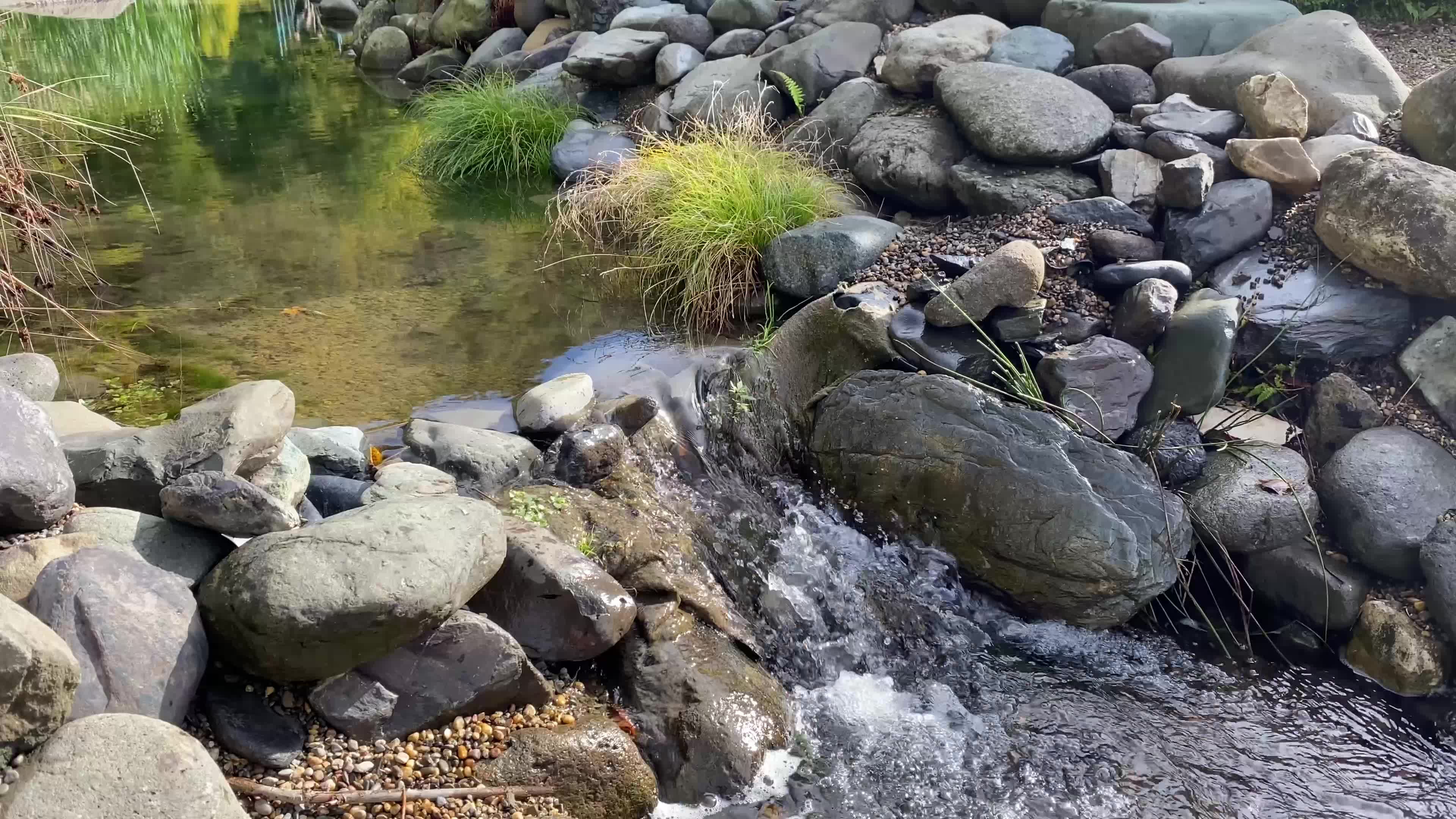 Tranquil Rock Creek Flowing in Nature Setting Free Stock Video Footage ...