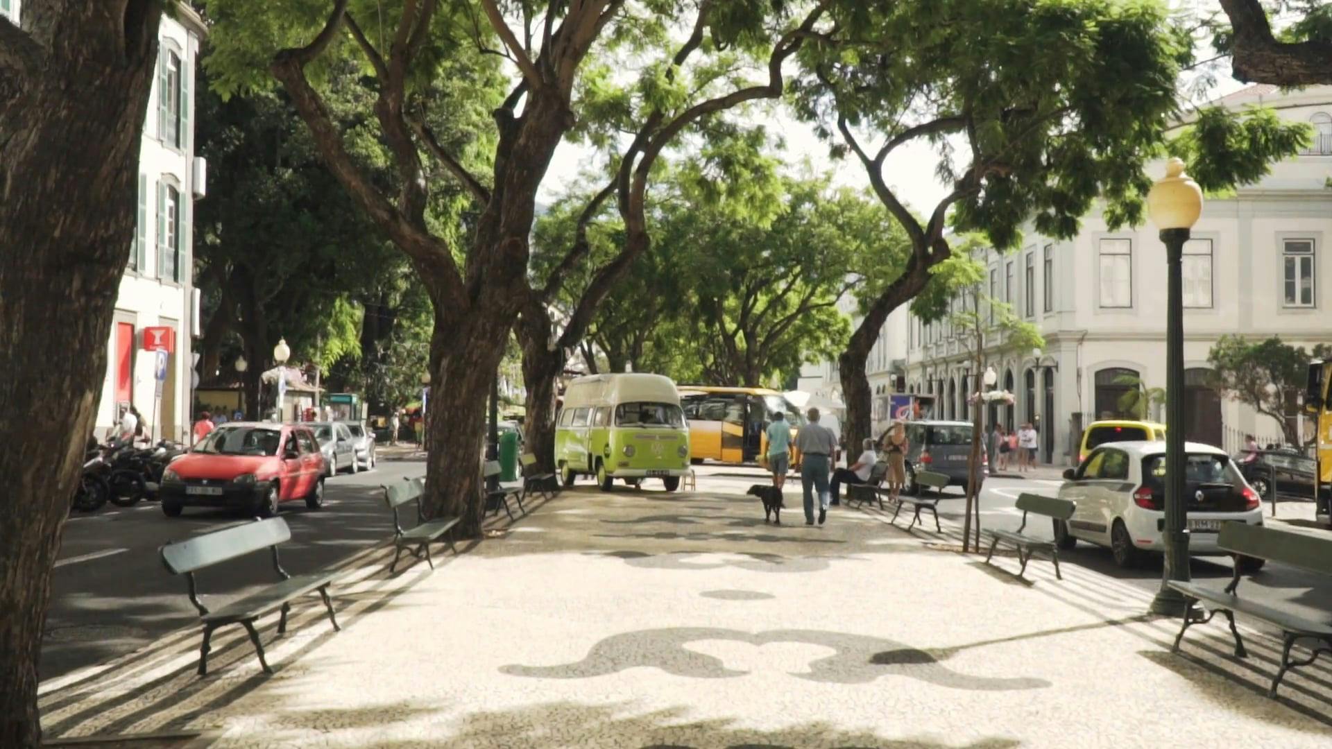 Colorful Buses Videos, Download The BEST Free 4k Stock Video Footage ...