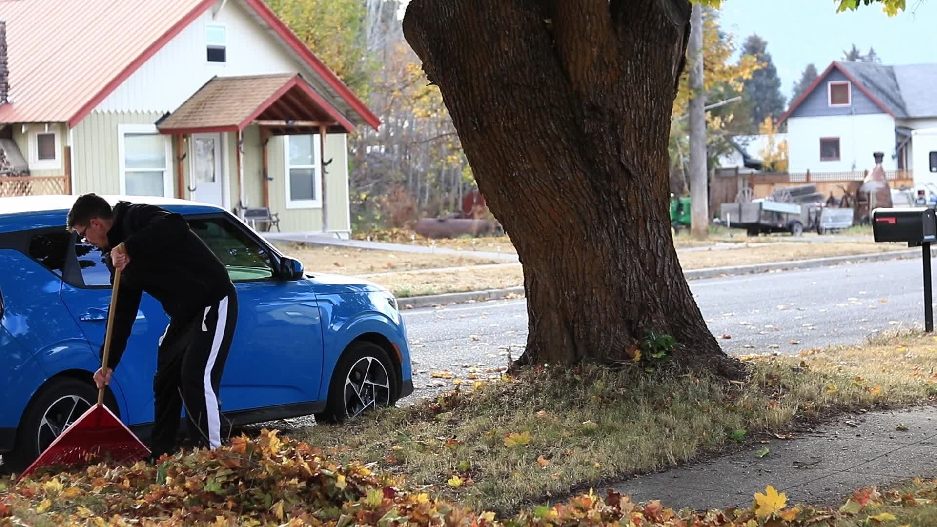 Man Raking Autumn Leaves Near Blue Car Free Stock Video Footage ...