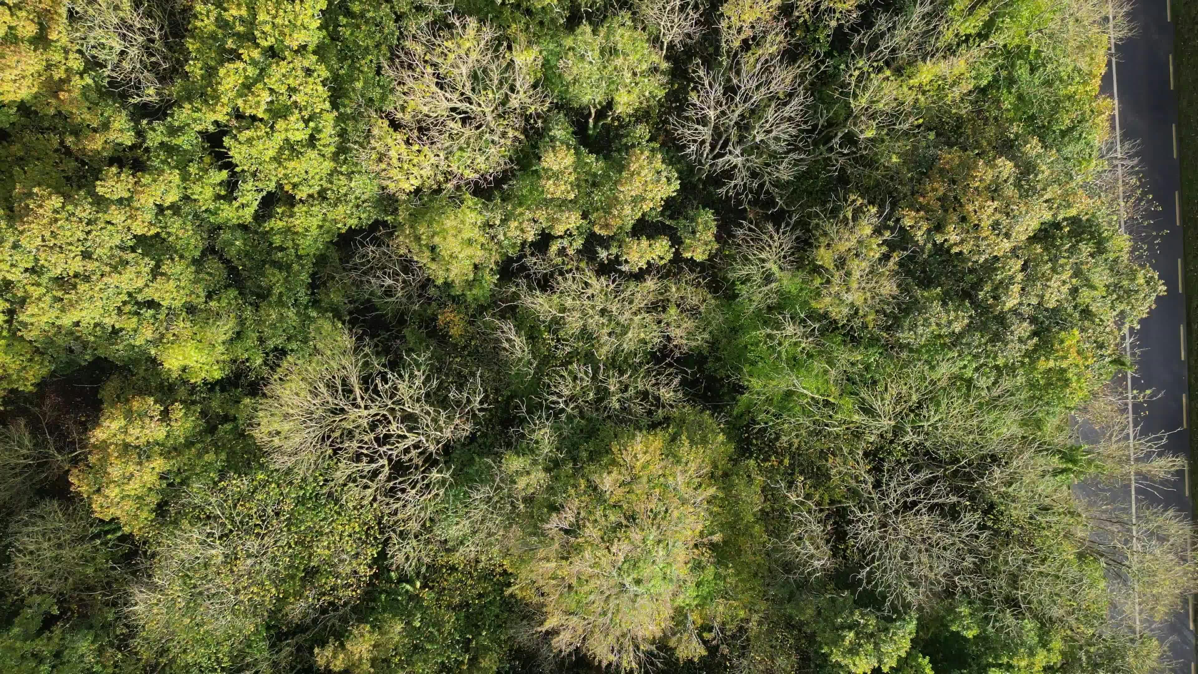 Colors Hd Video Videos, Download The BEST Free 4k Stock Video Footage ...