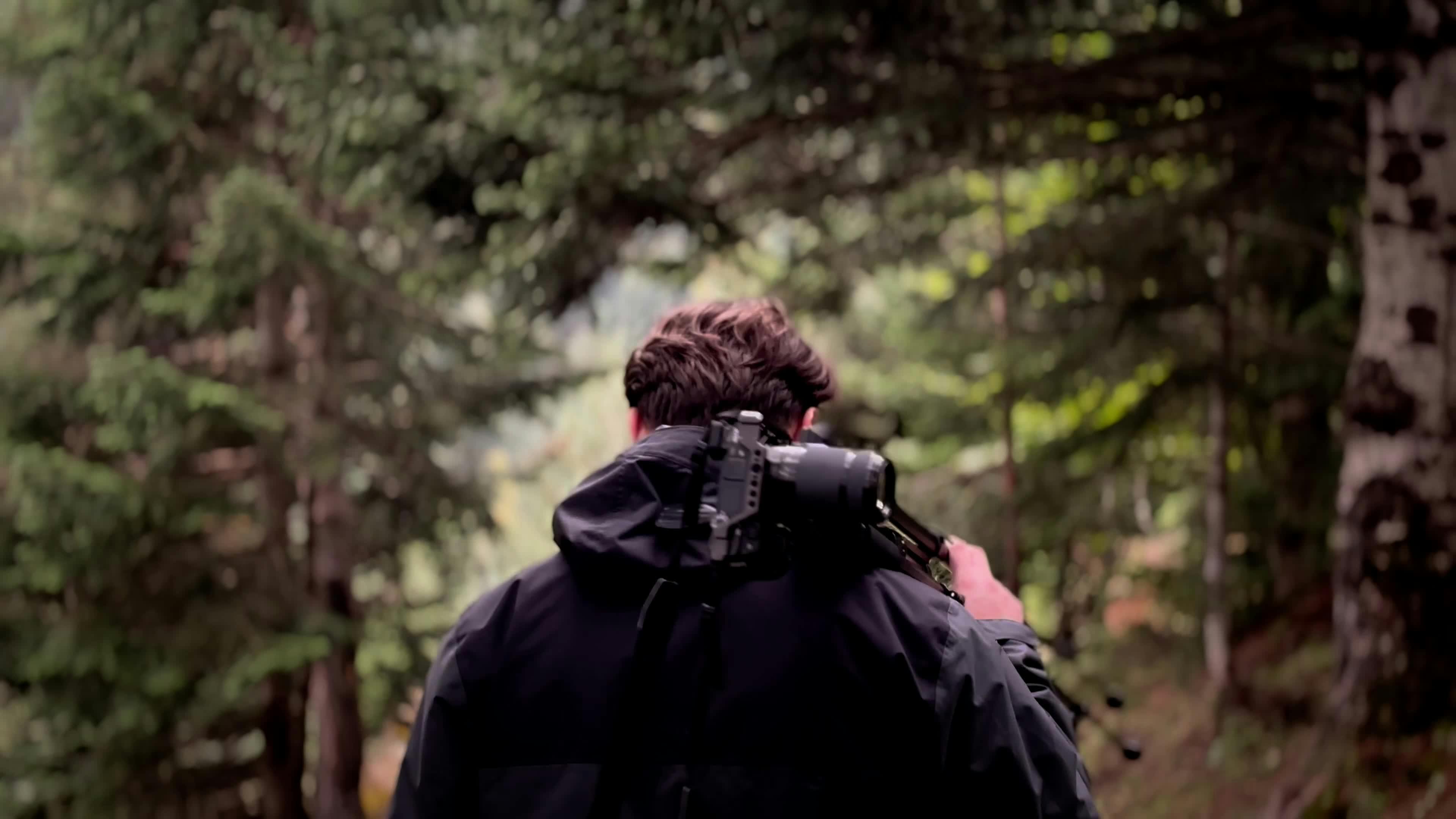 Photographer Exploring Serene Forest Landscape Free Stock Video Footage ...