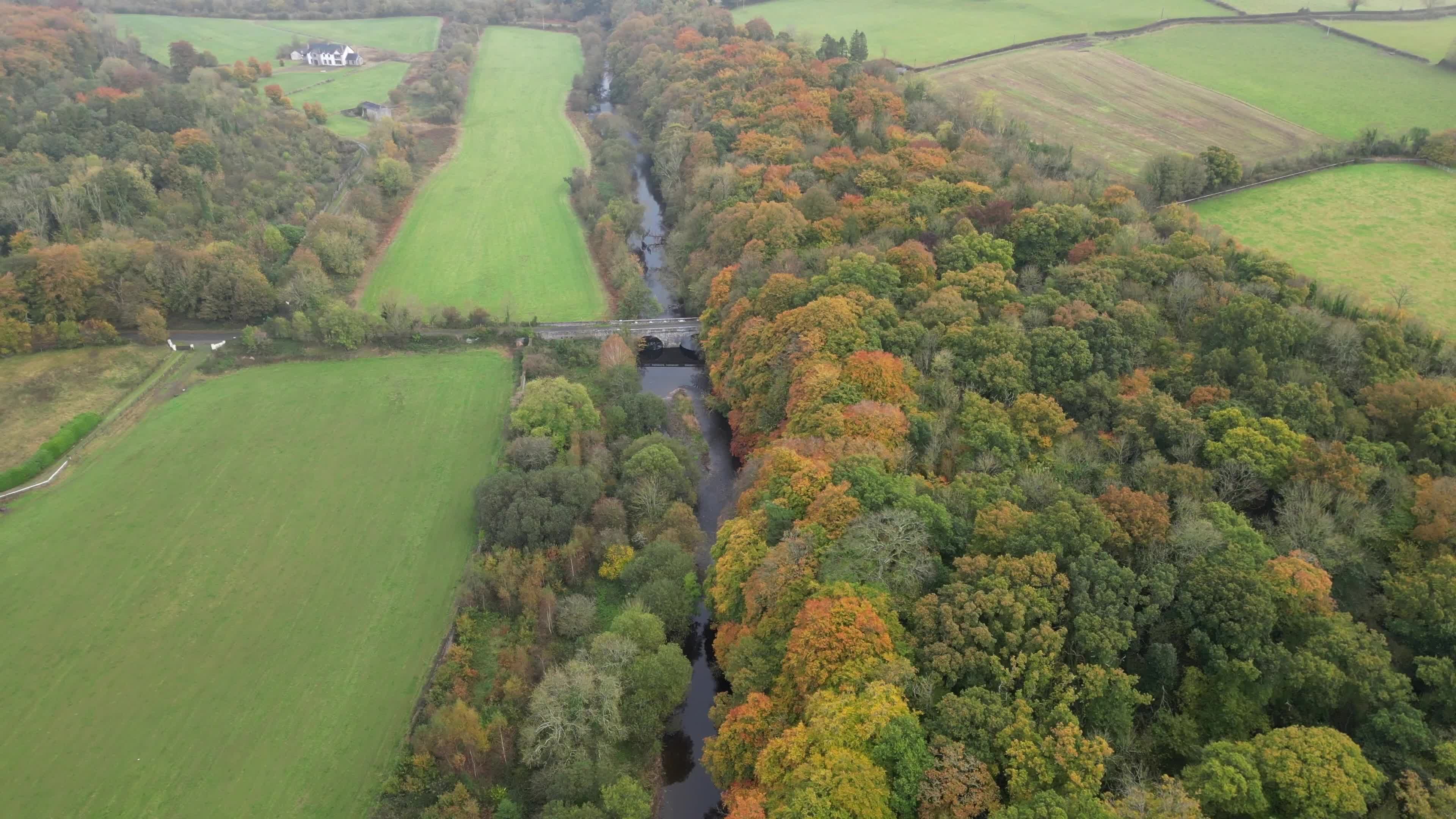 Stunning Aerial View of Autumn Irish Countryside Free Stock Video ...