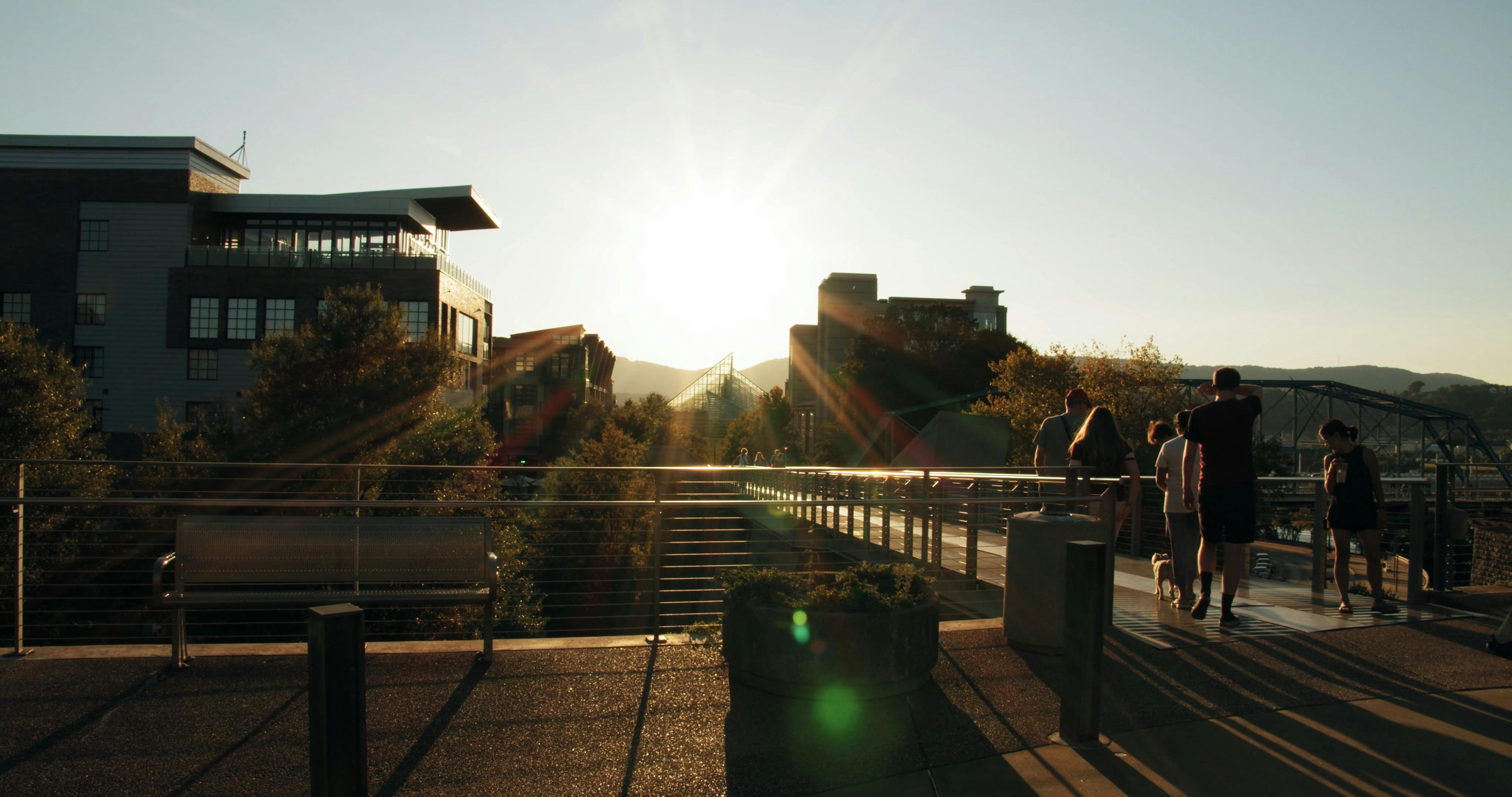 Bridge Of Seasons Videos, Download The BEST Free 4k Stock Video Footage ...