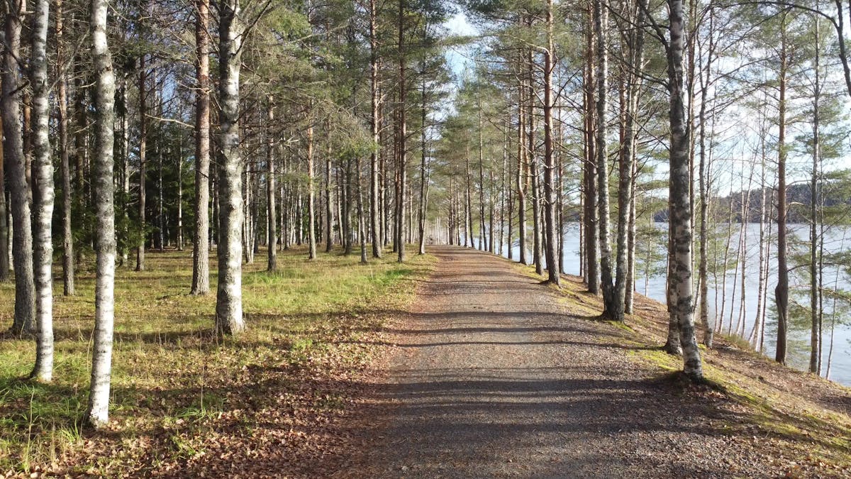 Short Video Nature Videos, Download The BEST Free 4k Stock Video ...