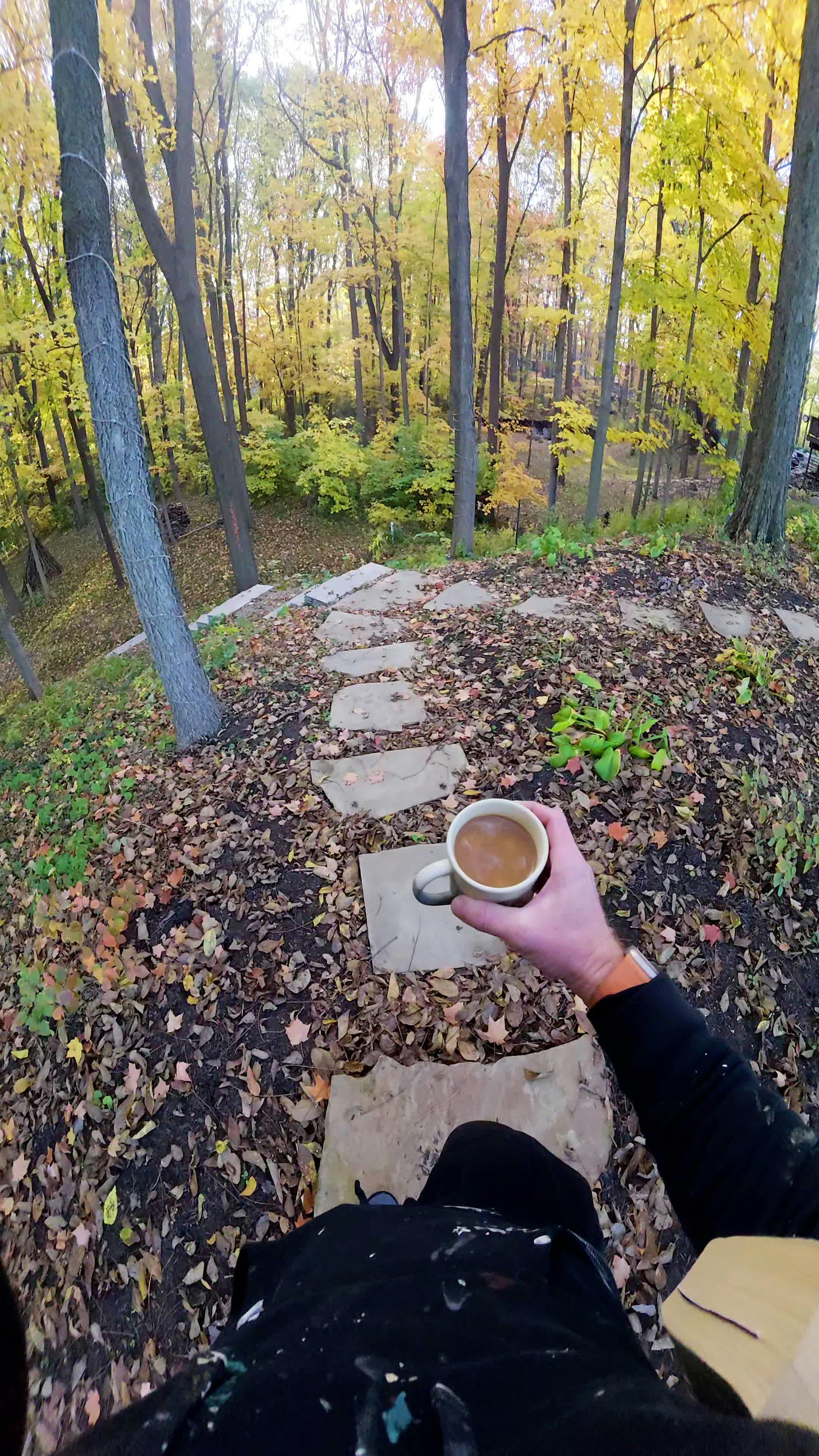 Serene Autumn Walk with Coffee in Hand Free Stock Video Footage ...