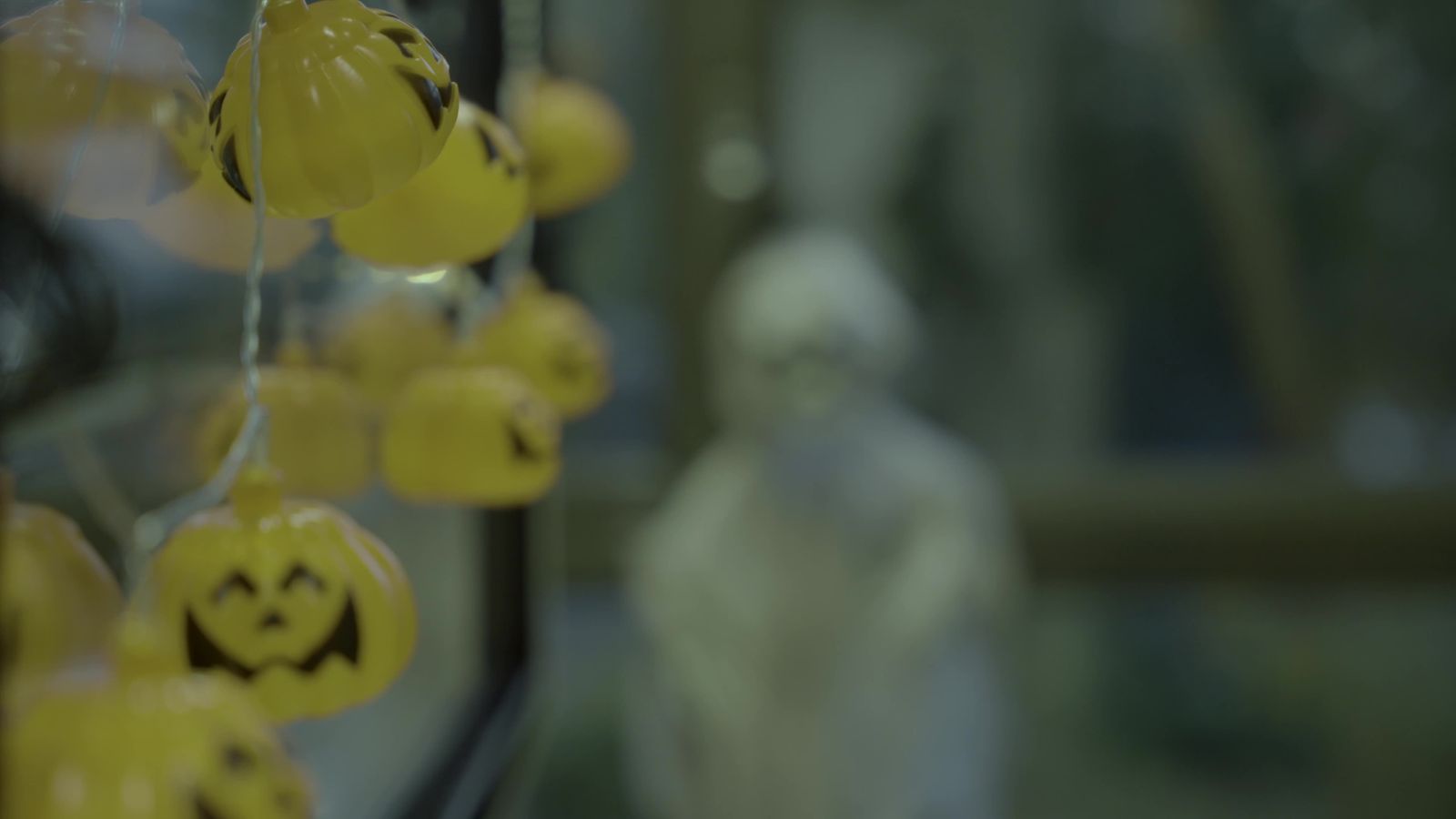 Halloween Videos, Download The BEST Free 4k Stock Video Footage ...