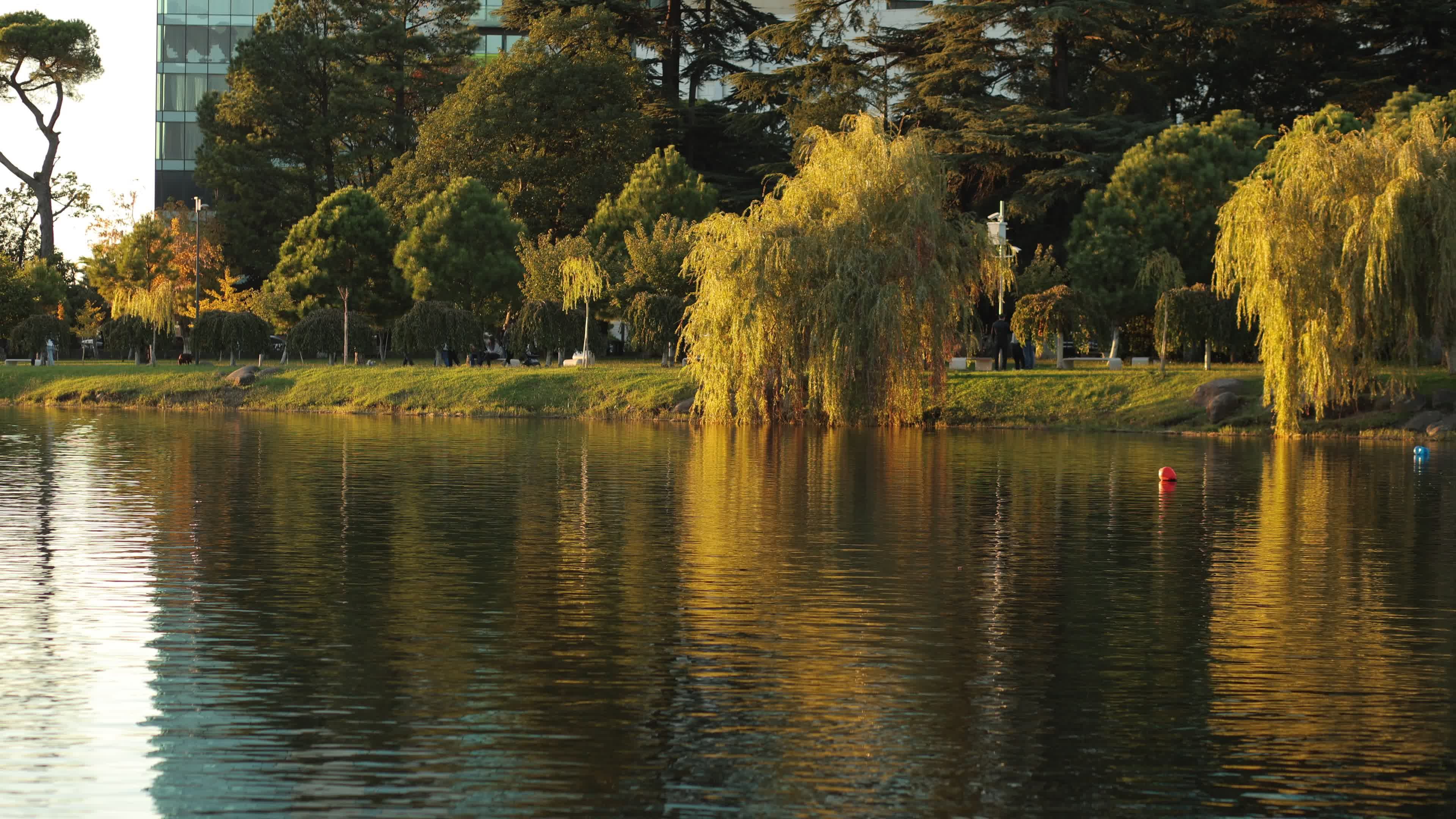 Peaceful Kayaking on Tranquil Lake at Sunset Free Stock Video Footage ...