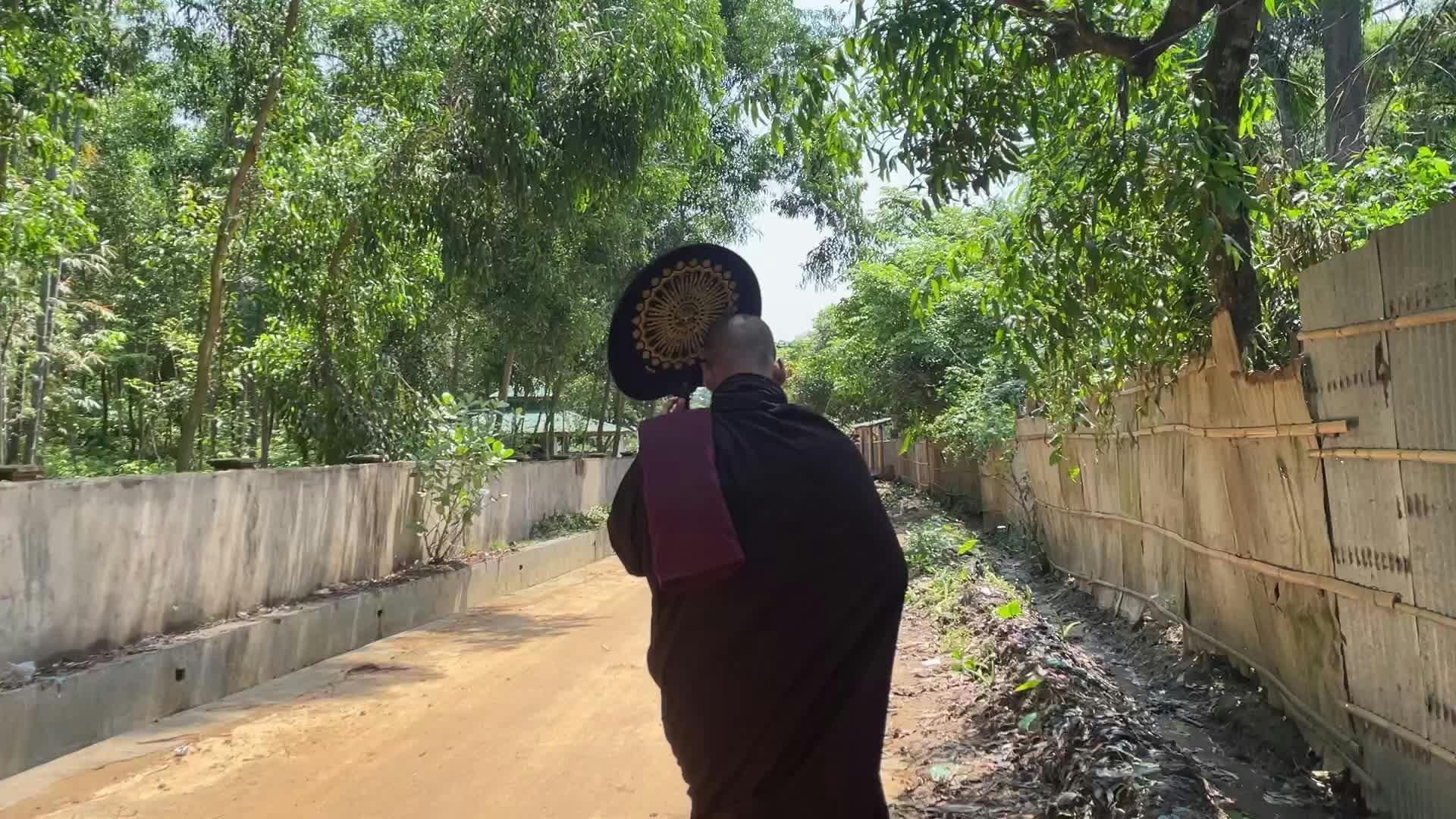 Peaceful Walk of a Buddhist Monk in Nature Free Stock Video Footage ...