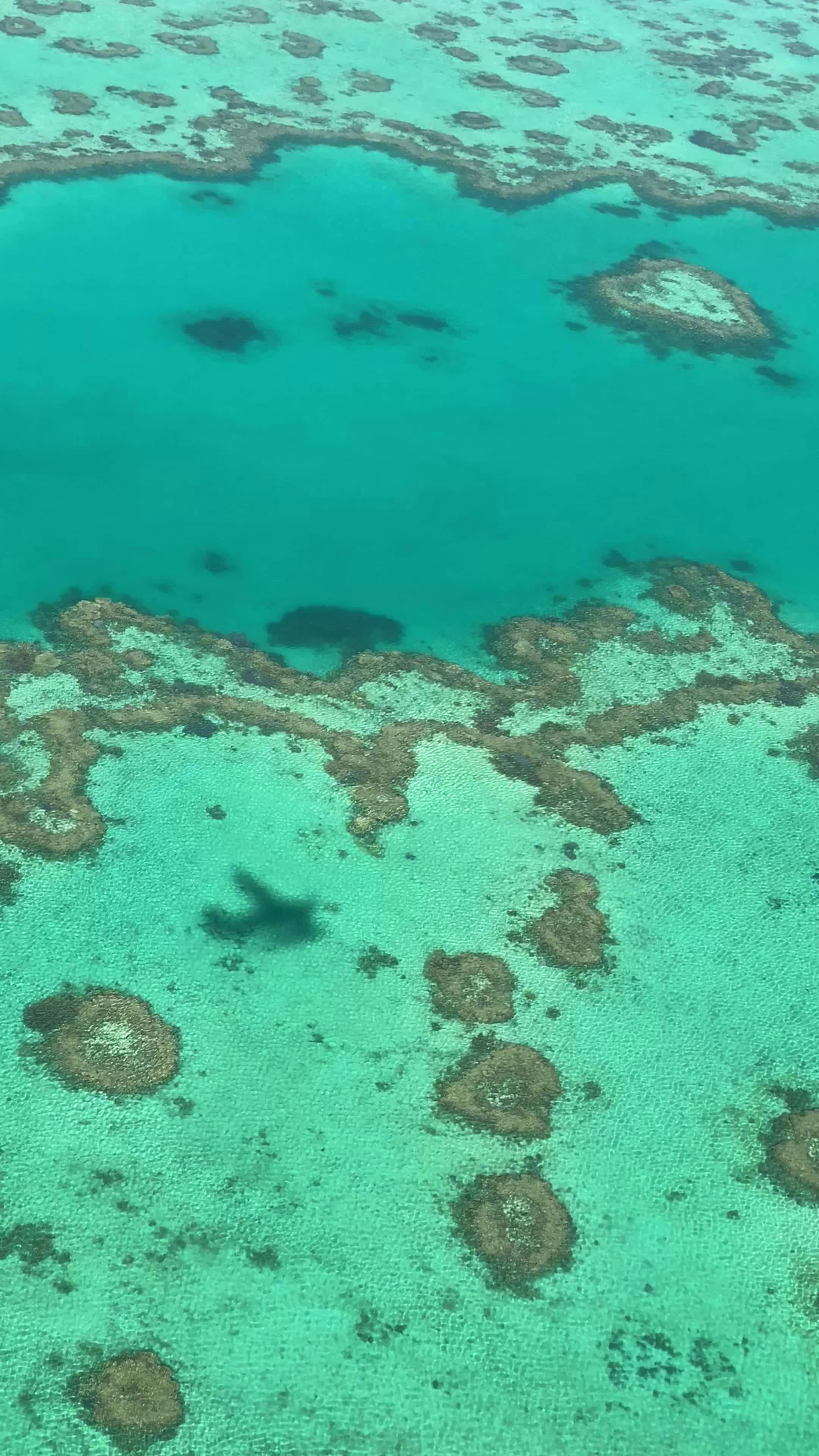 Beautiful Fish Video Videos, Download The BEST Free 4k Stock Video ...