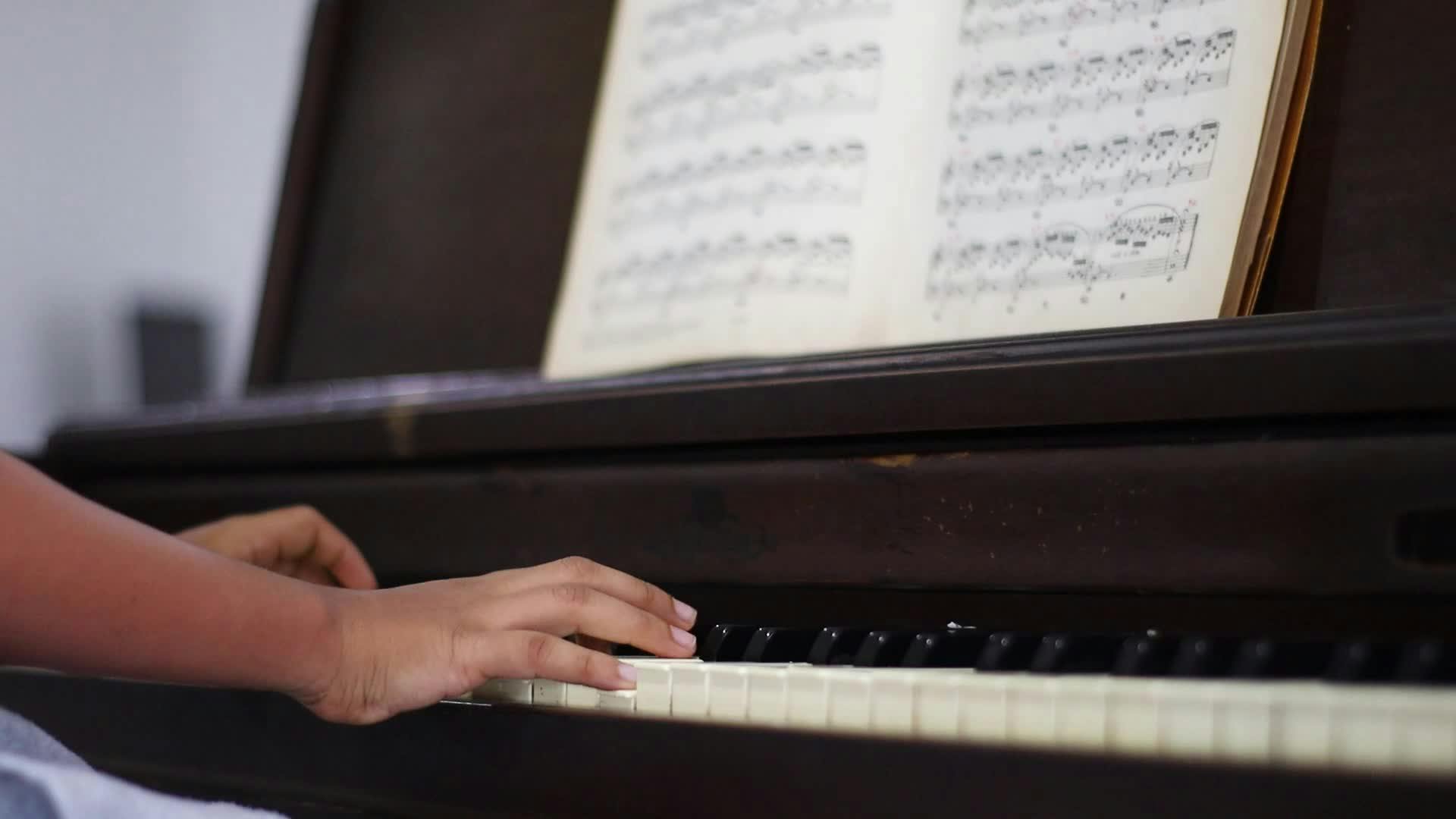 Gato Tocando Piano Videos, Download The BEST Free 4k Stock Video ...