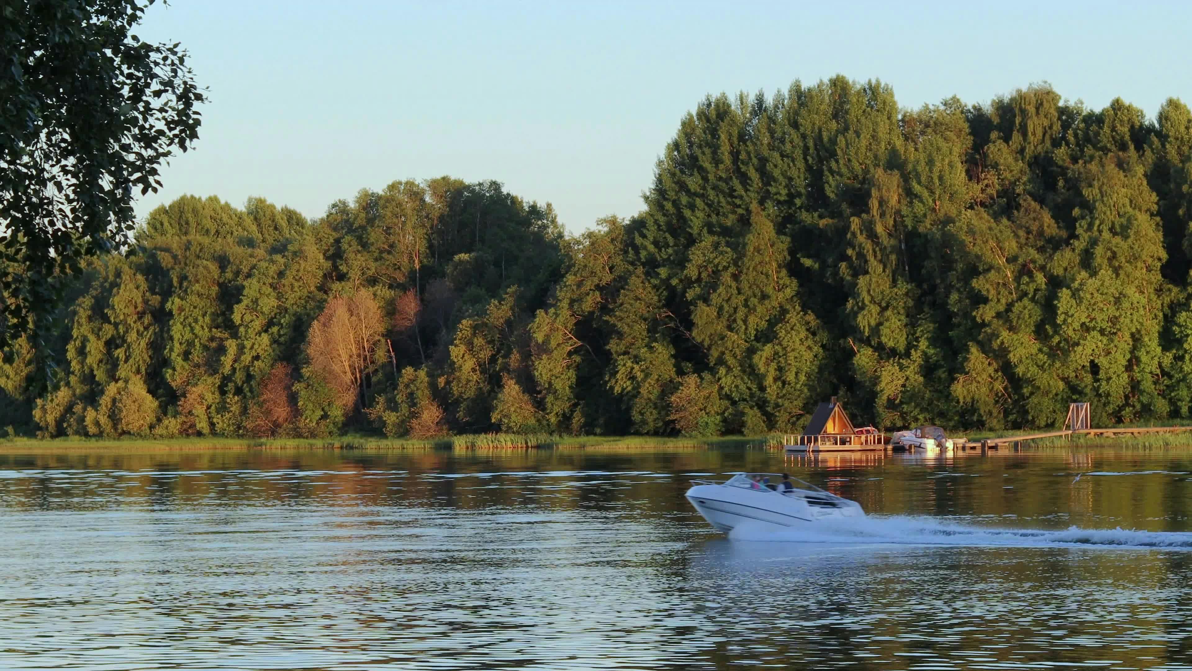 Nature Footage No Copyright Videos, Download The BEST Free 4k Stock ...