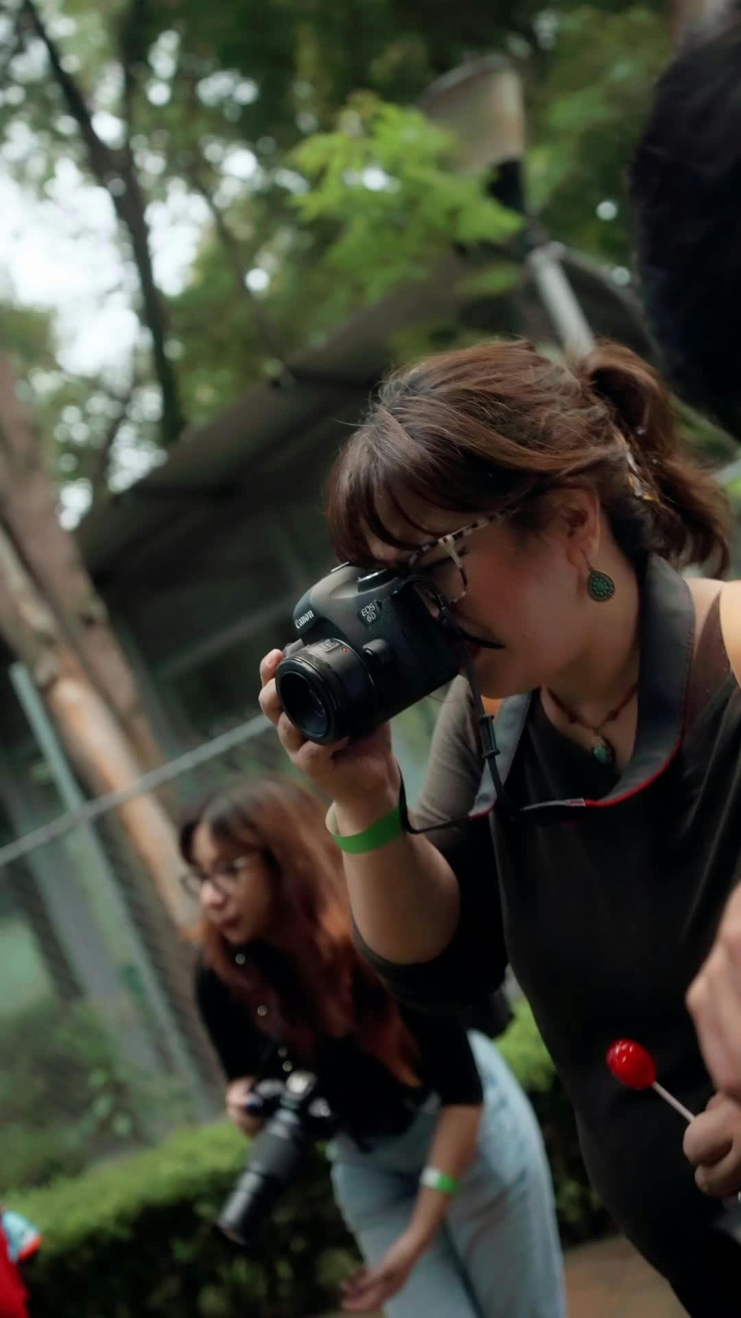 Vibrant Outdoor Photography Meetup with Diverse Group Free Stock Video ...