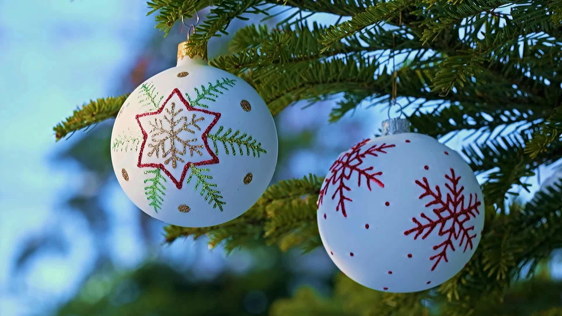 Biggest Tree Videos, Download The BEST Free 4k Stock Video Footage ...