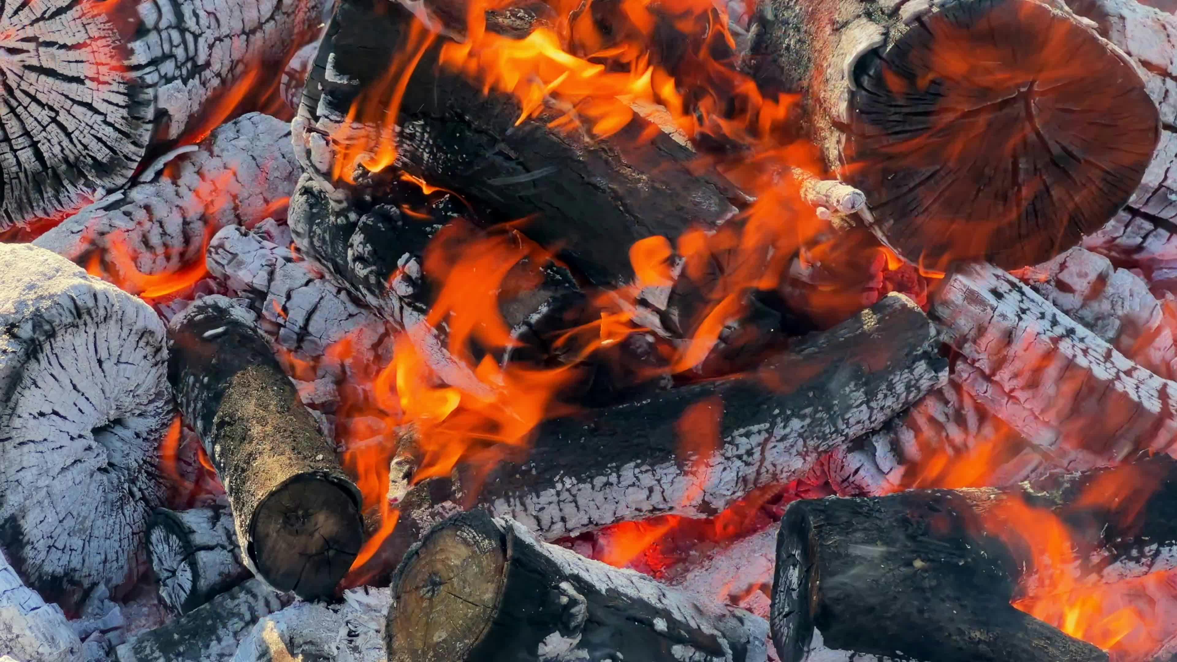 Crackling fire with glowing embers Free Stock Video Footage, Royalty ...