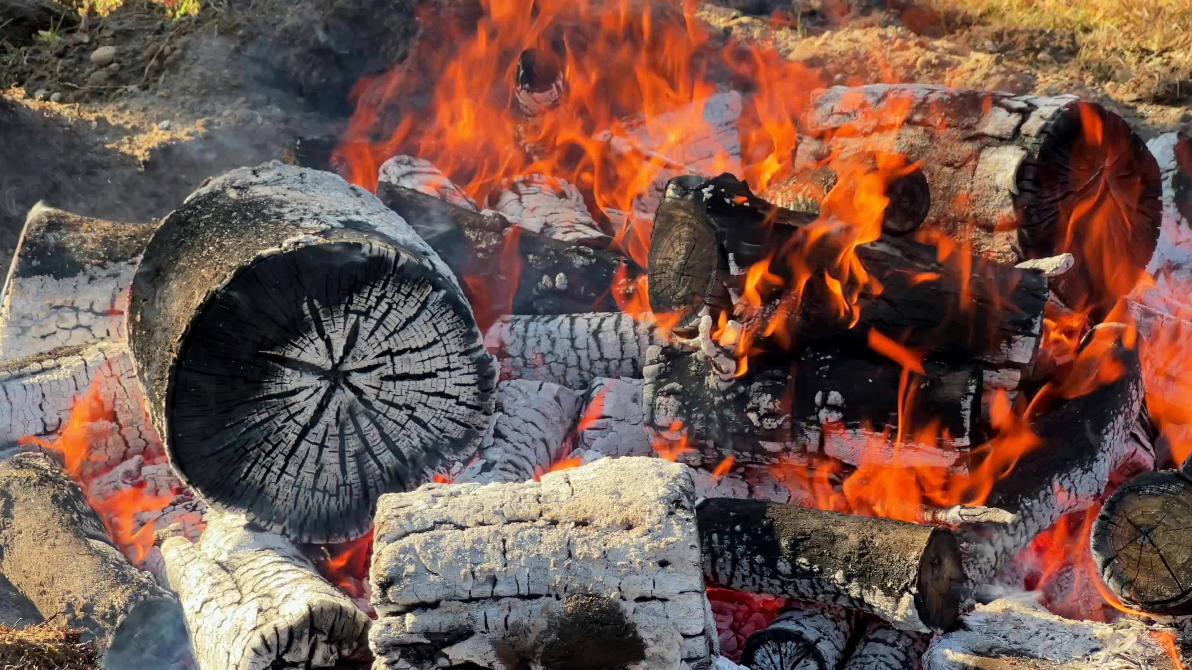 Pavillon Logs Videos, Download The BEST Free 4k Stock Video Footage ...