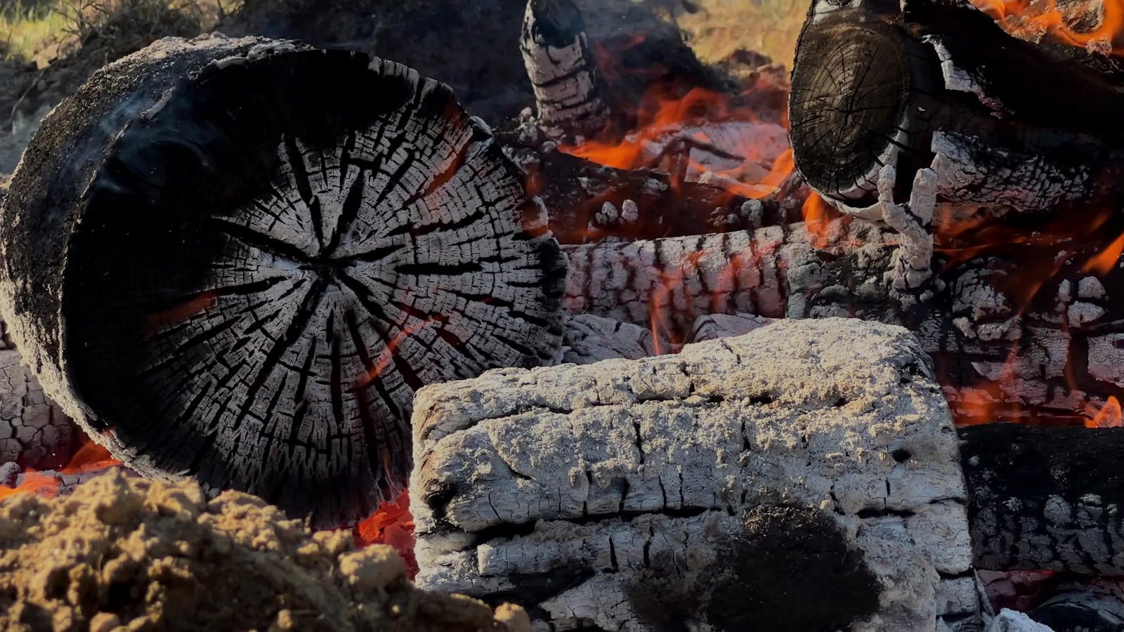 S Log Videos, Download The BEST Free 4k Stock Video Footage & S Log HD ...